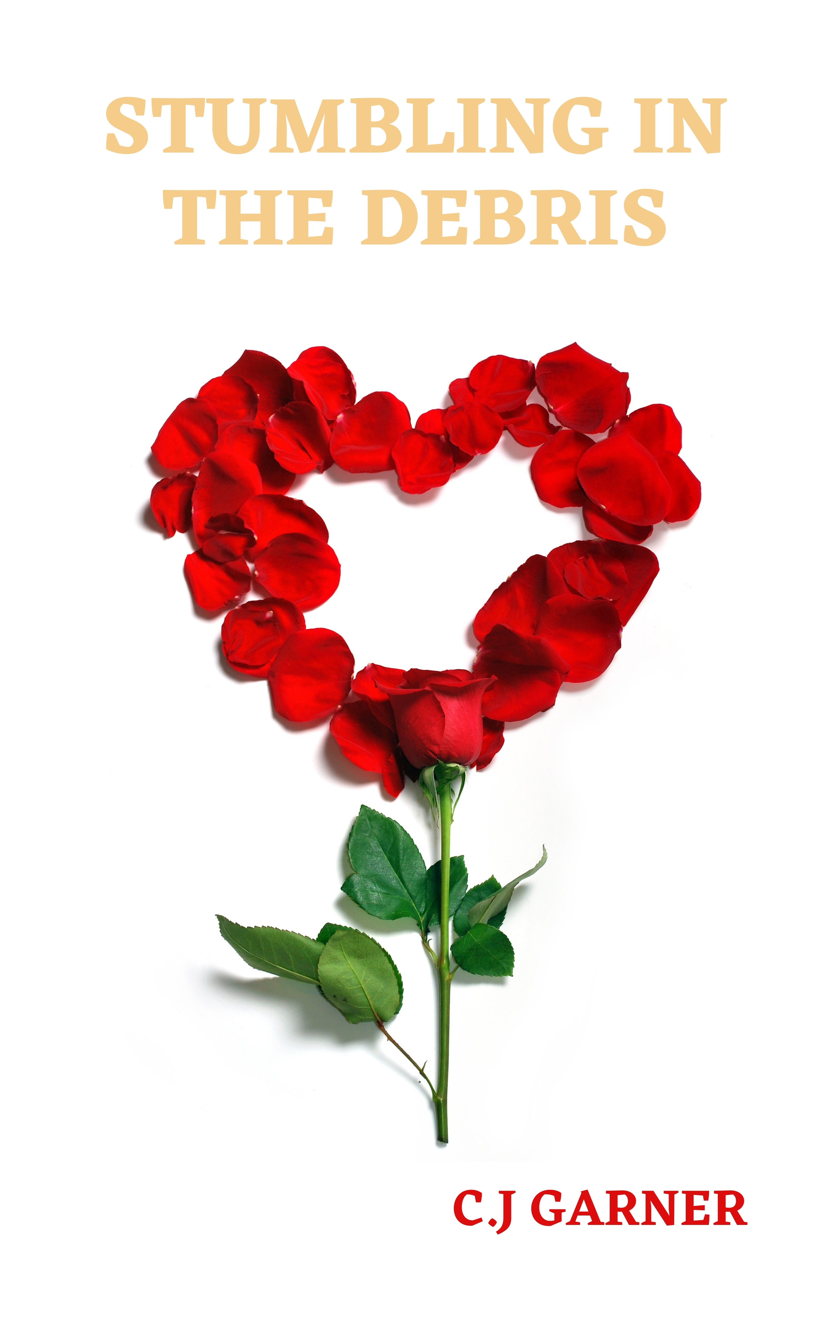 Stumbling in the Debris by Janet Masvongo | Goodreads