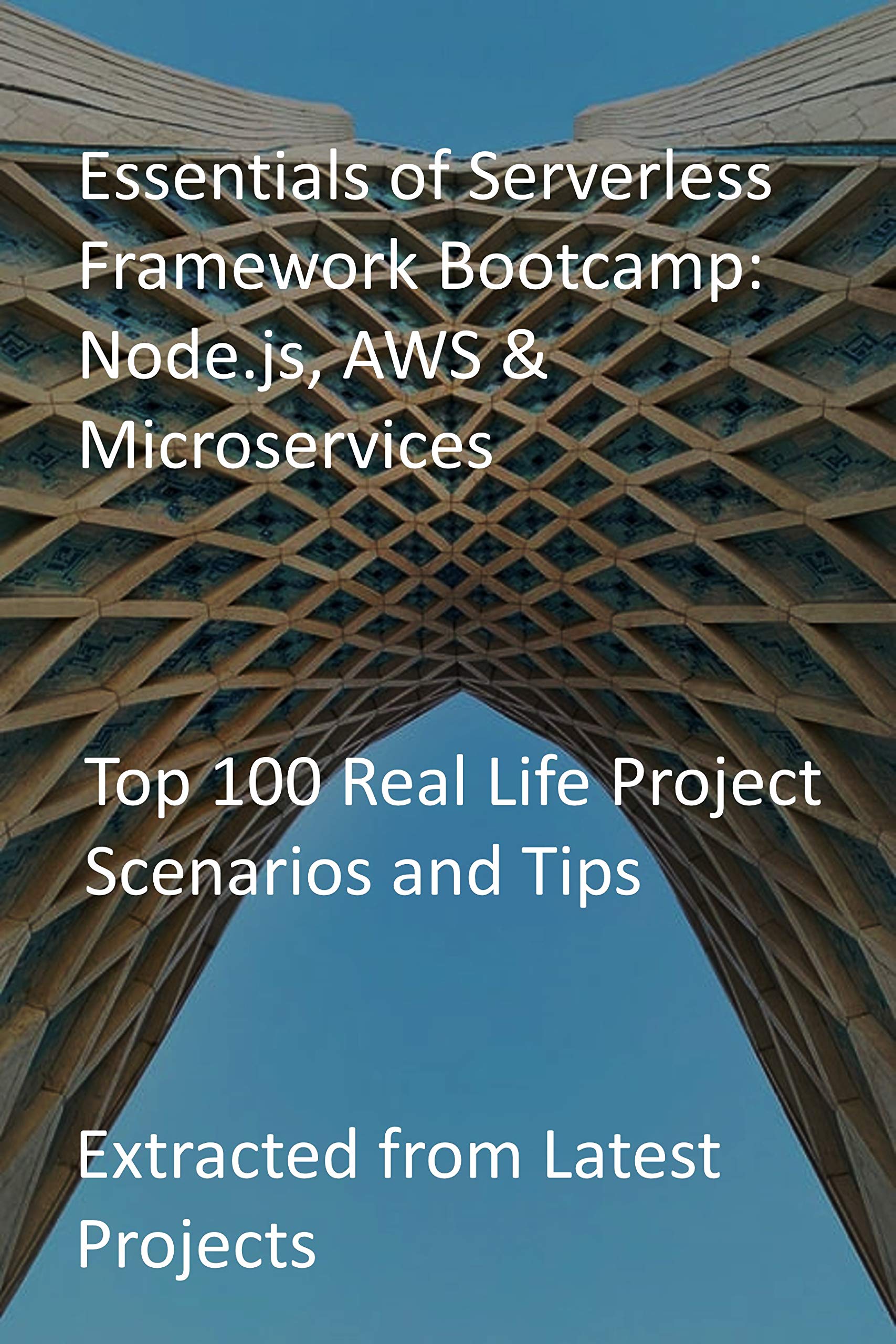 Essentials of Serverless Framework Bootcamp: Node.js, AWS & Microservices: Top 100 Real Life ...