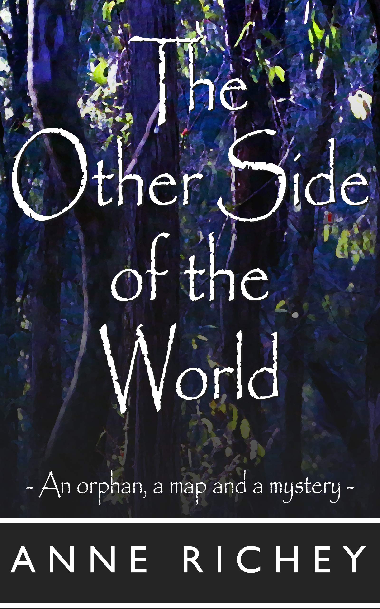 The Other Side of the World by Anne Richey | Goodreads