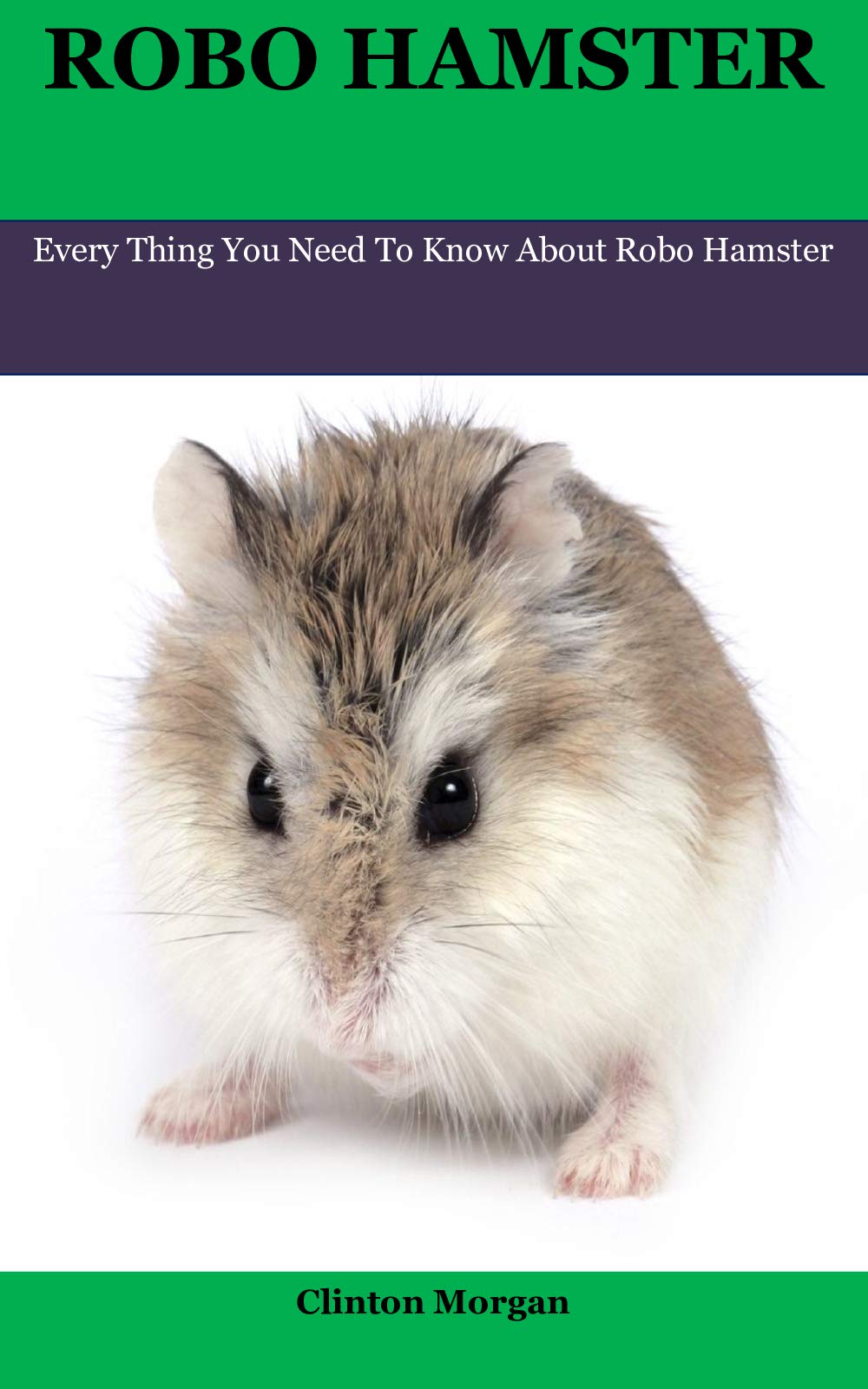 Robo Hamster: Every Thing You Need To Know About Robo Hamster by ...