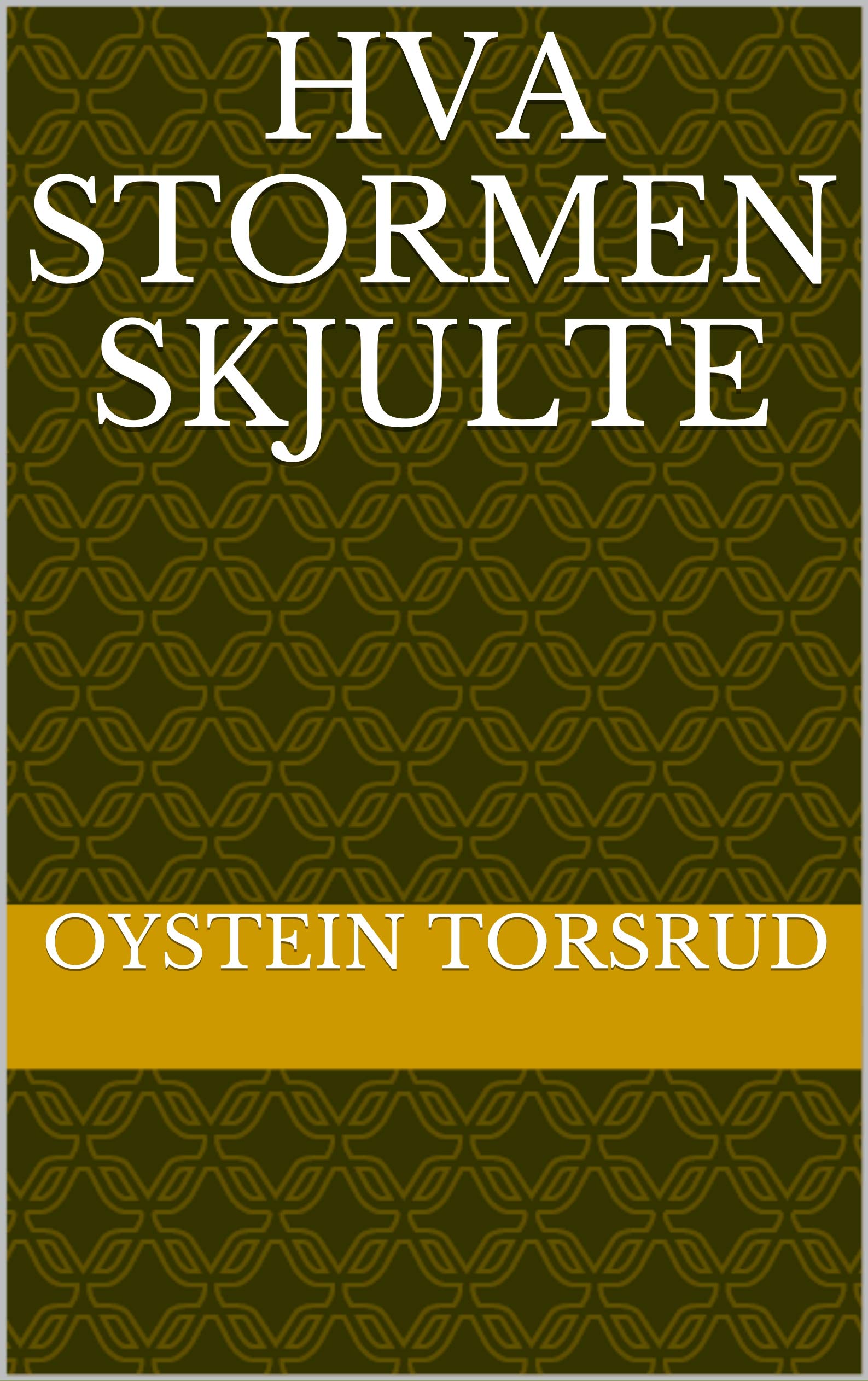 Hva stormen skjulte (Sivert Olafsen, Politietterforskeren Book 1) by ...