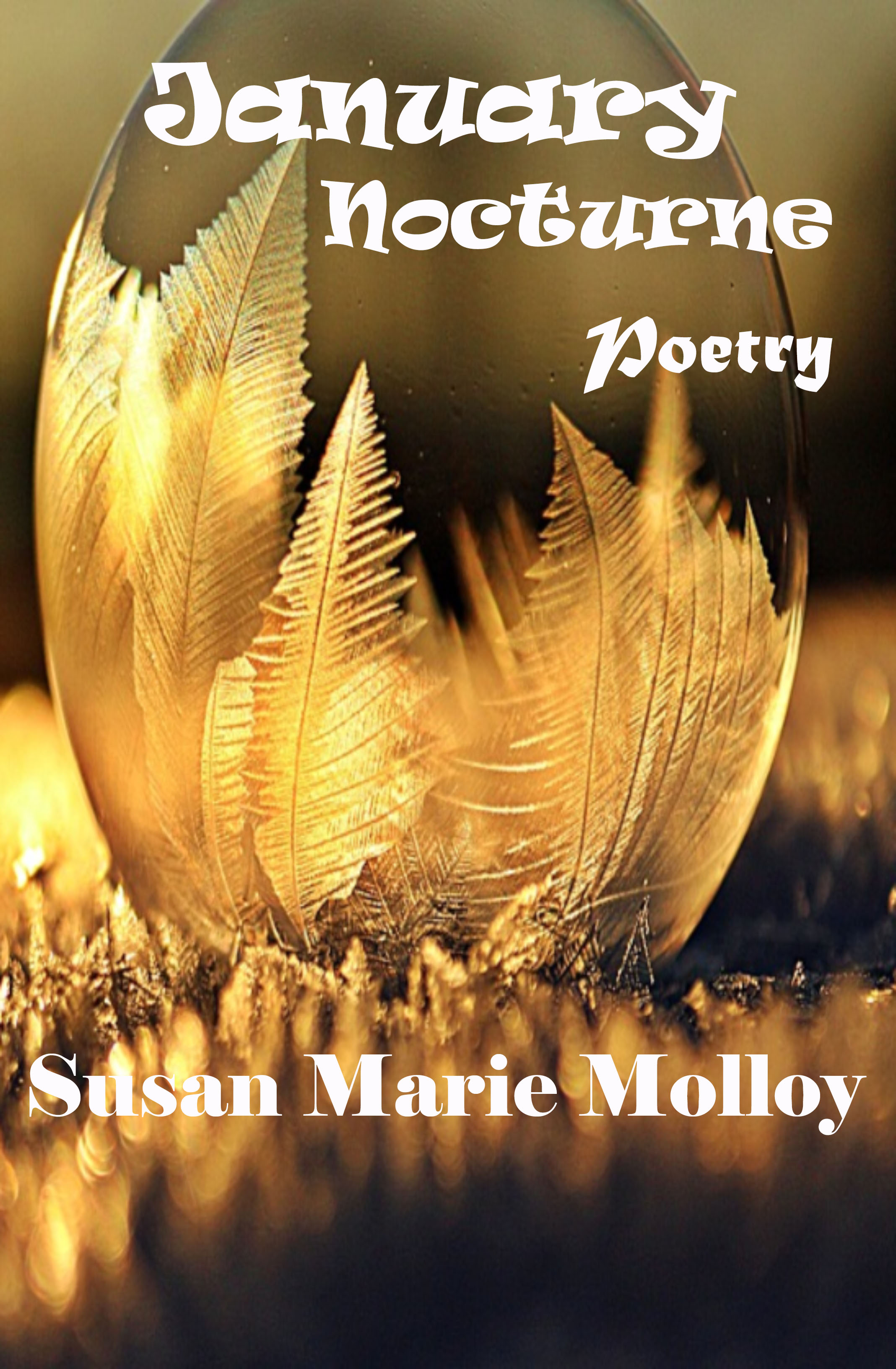 January Nocturne by Susan Marie Molloy | Goodreads