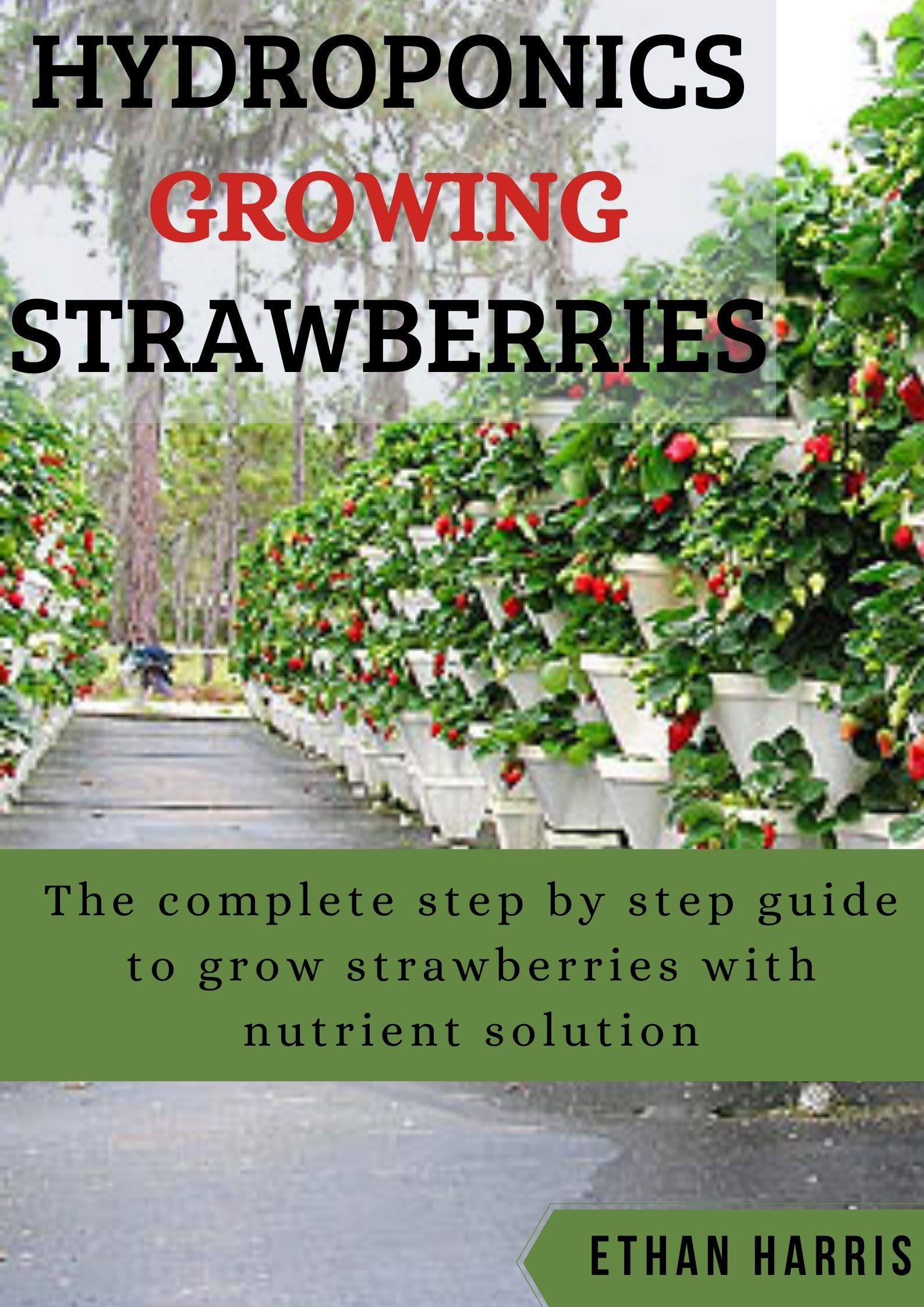 HYDROPONICS GROWING STRAWBERRIES: The complete step by step guide to grow strawberries with ...