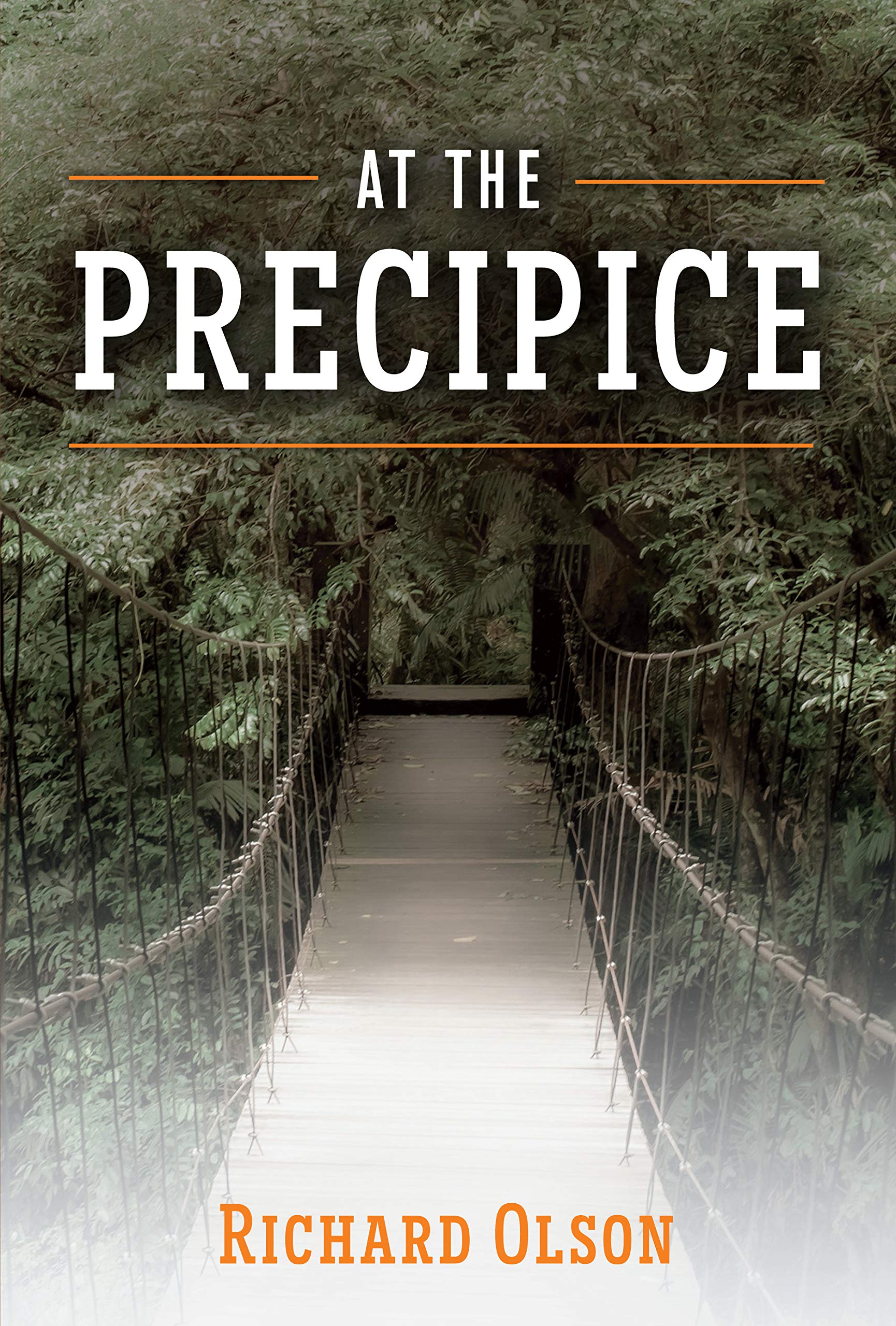 At The Precipice by Richard Olson | Goodreads