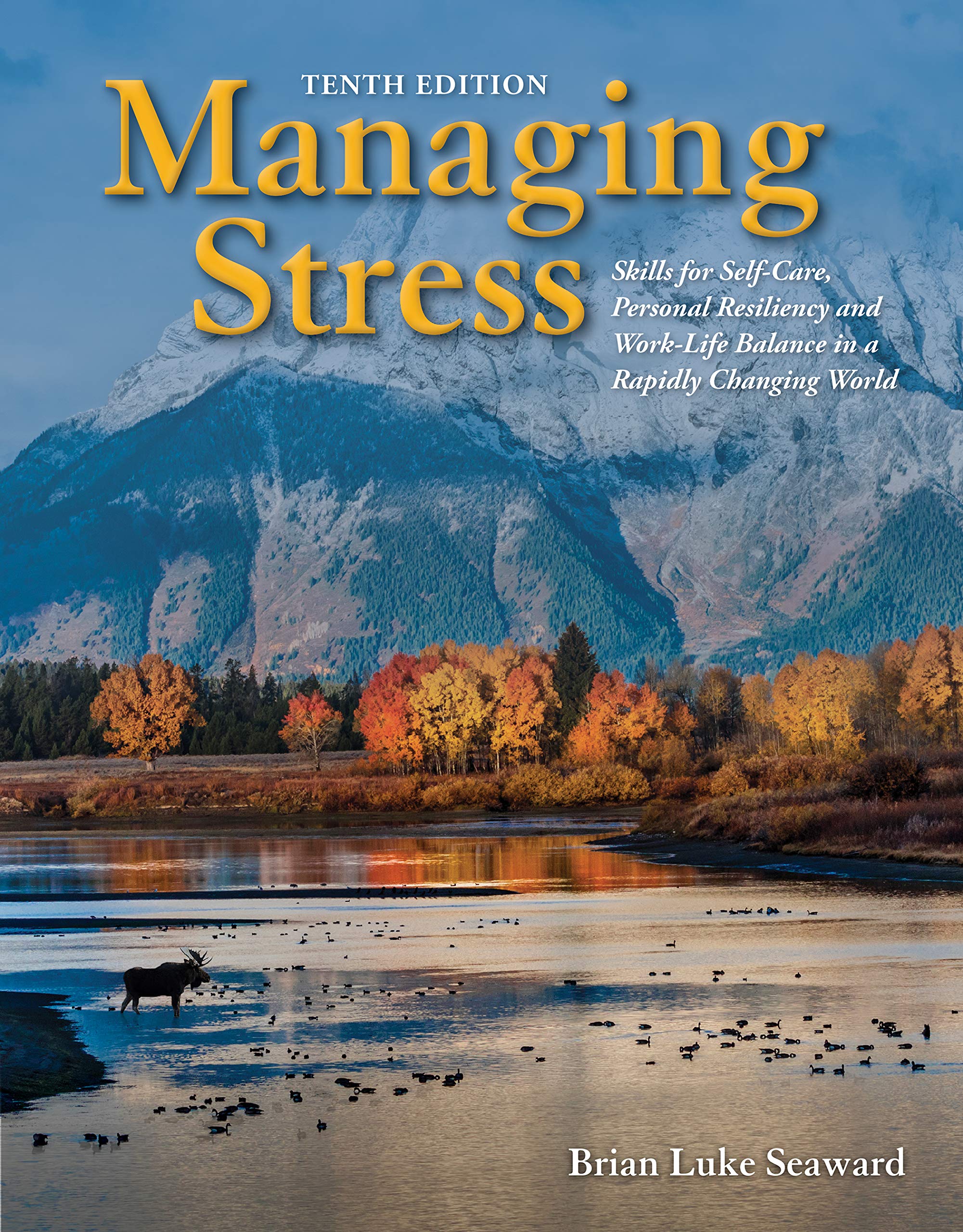 Managing Stress: Skills for Self-Care, Personal Resiliency and Work ...