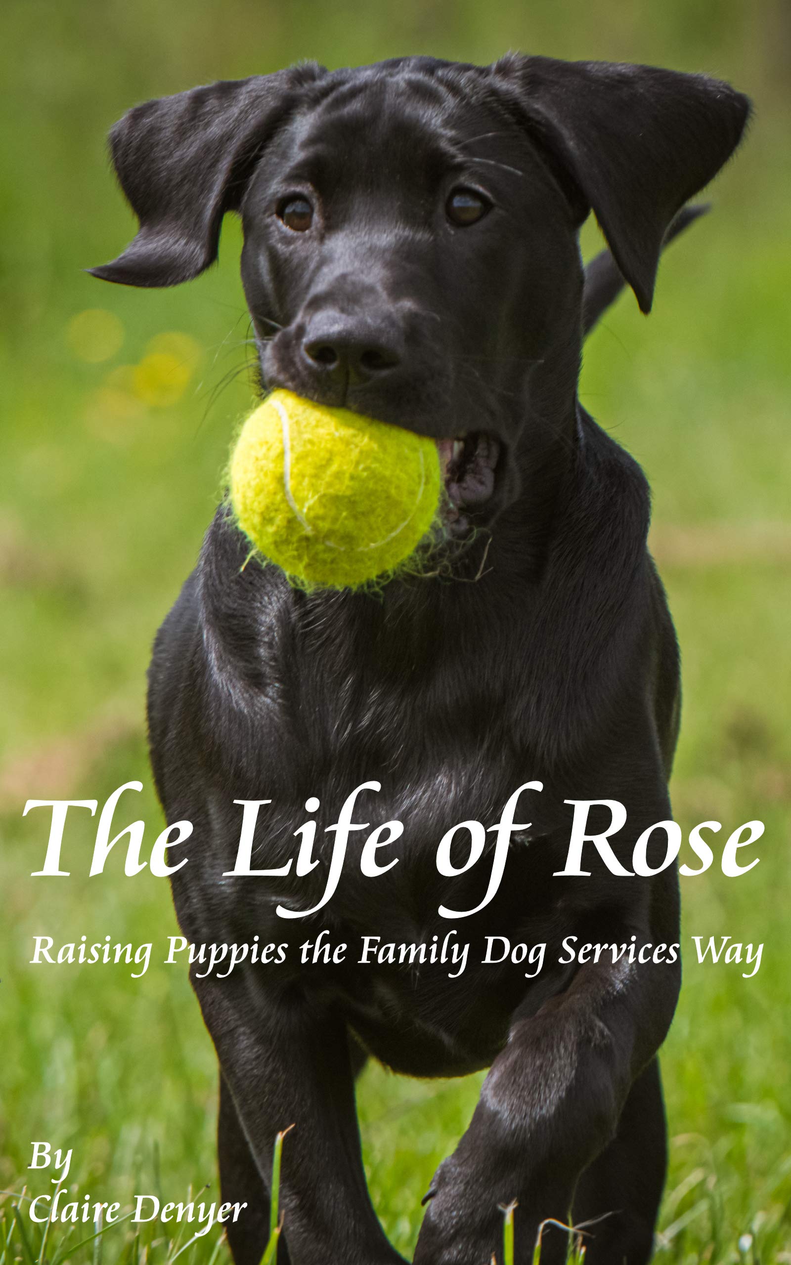 The Life of Rose: Raising Puppies the Family Dog Services Way by Claire ...