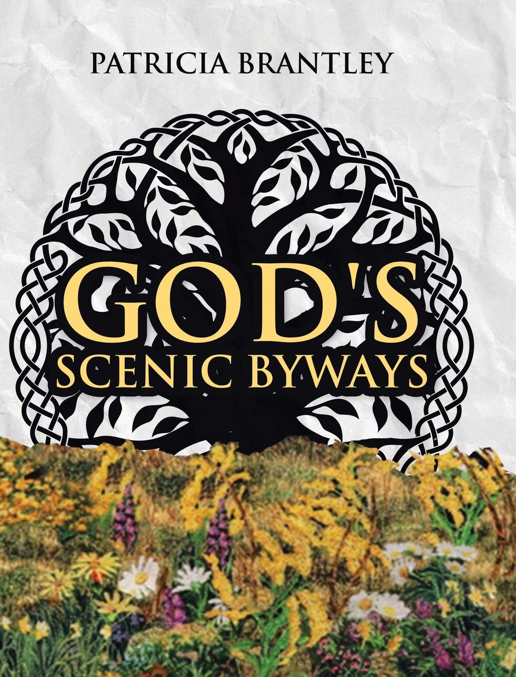 God's Scenic Byways by Patricia Brantley | Goodreads