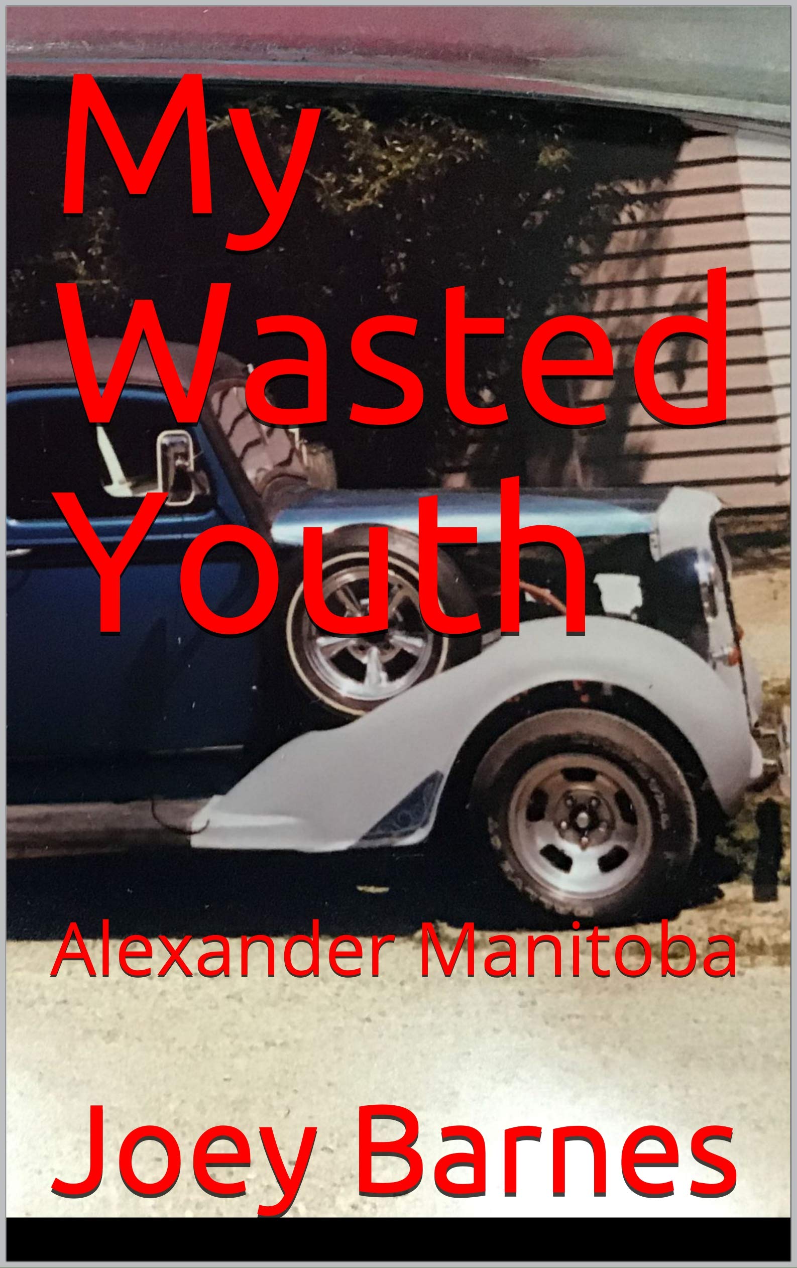 My Wasted Youth: Alexander Manitoba by Joey Barnes | Goodreads