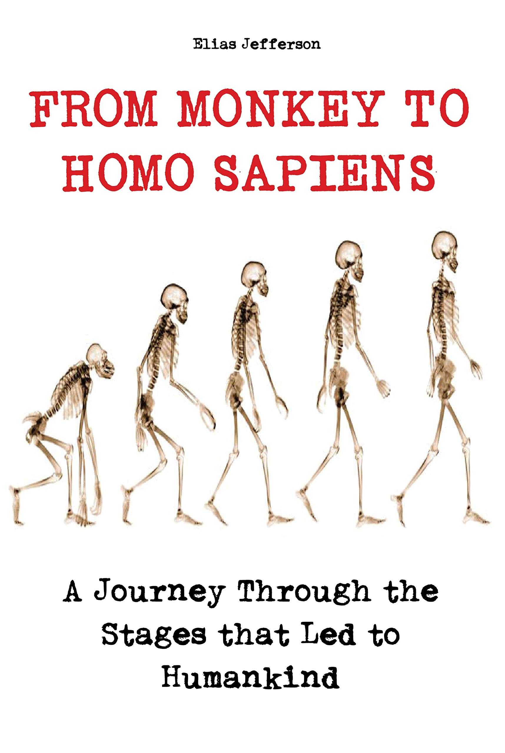 FROM MONKEY TO HOMO SAPIENS: A Journey Through the Stages that Led to ...