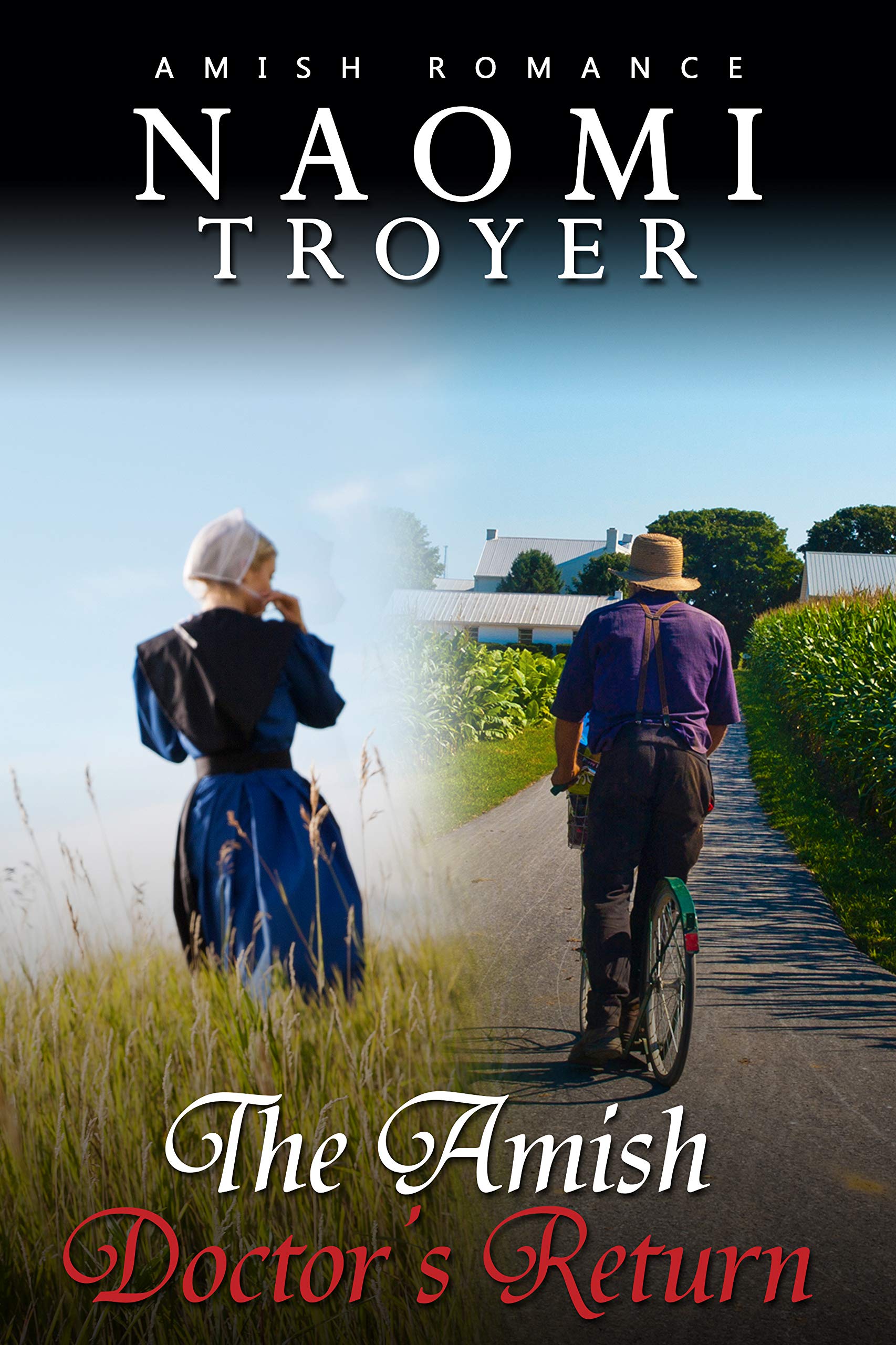 The Amish Doctor's Return by Naomi Troyer | Goodreads