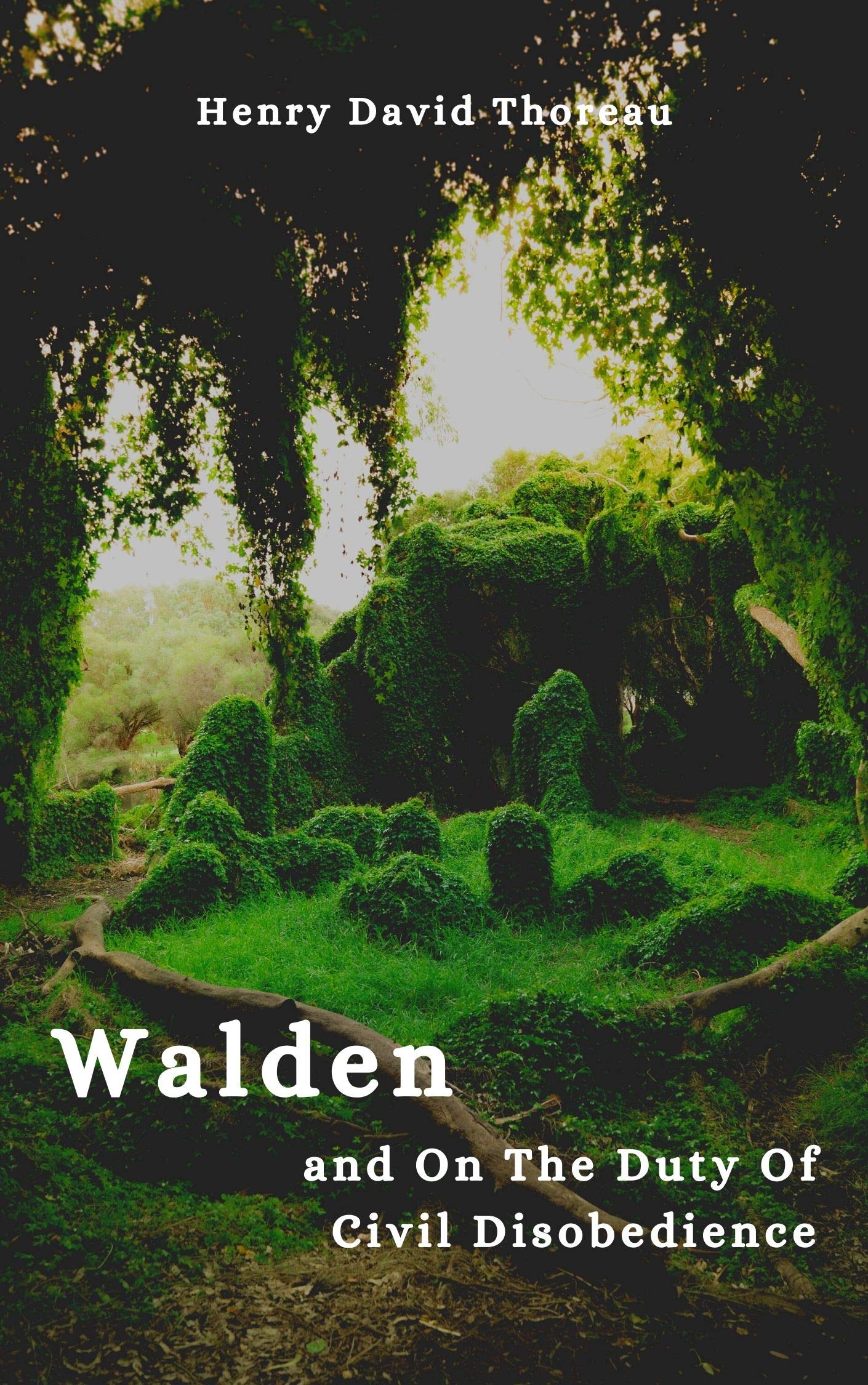 Walden: and On The Duty Of Civil Disobedience by Henry David Thoreau ...