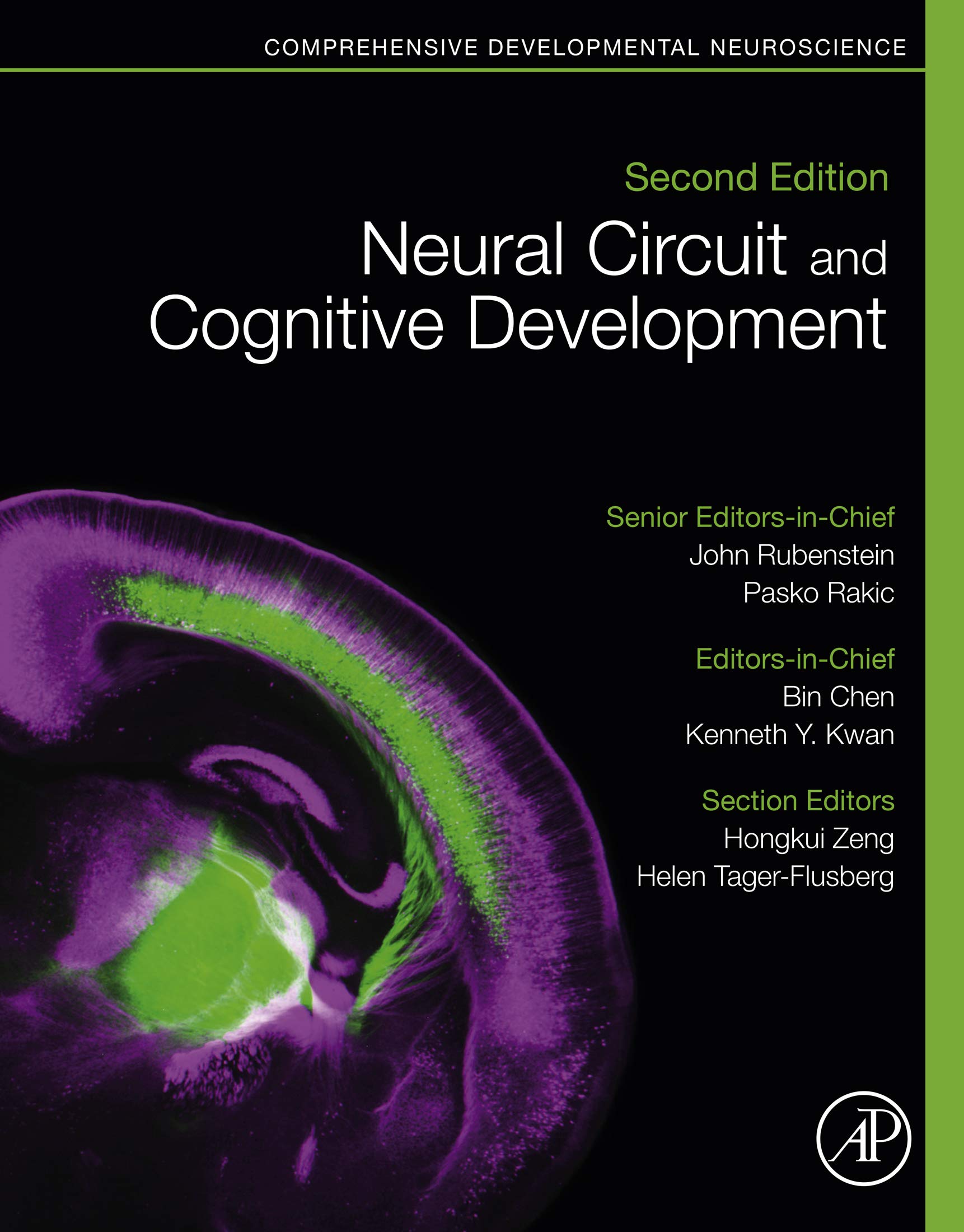Neural Circuit and Cognitive Development: Comprehensive Developmental ...
