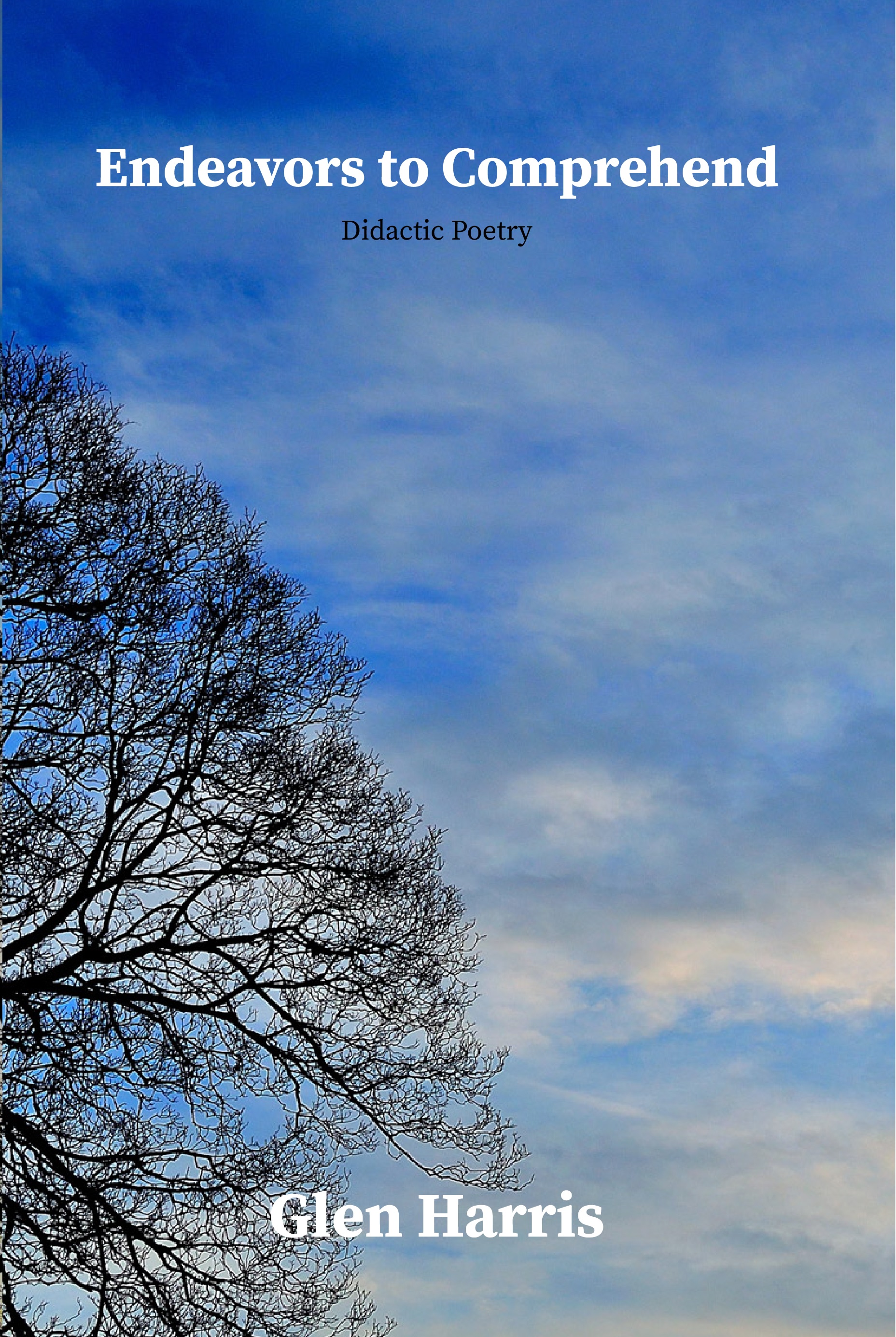 Endeavors to Comprehend by Glen Harris | Goodreads