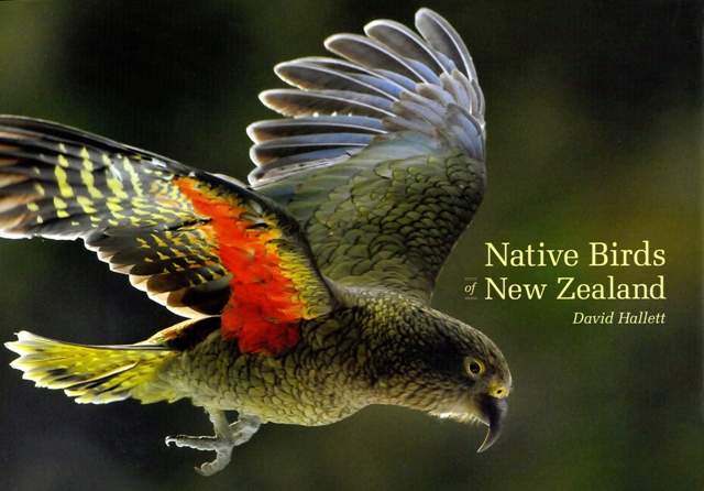 Native Birds of New Zealand by David Hallett | Goodreads