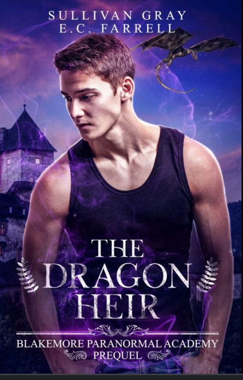 The Dragon Heir: A Prequel by Sullivan Gray | Goodreads