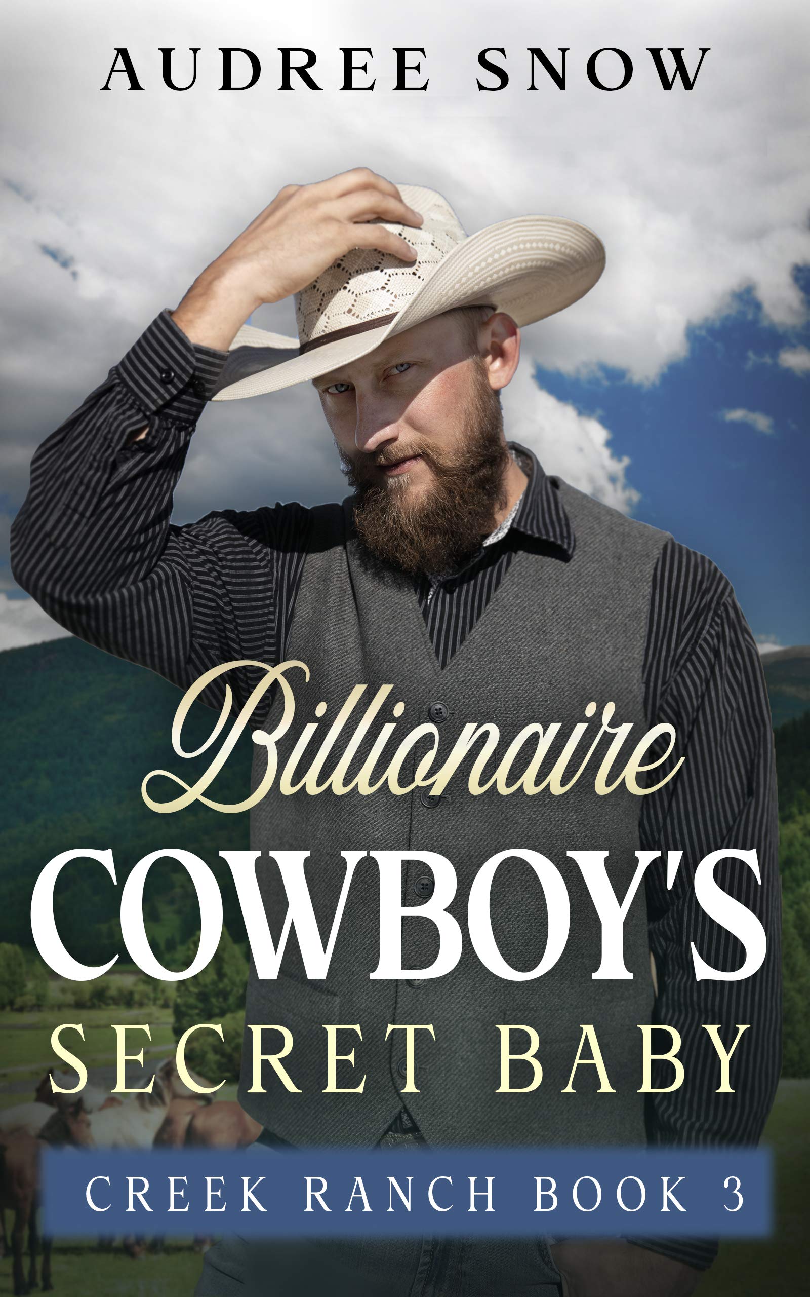 Billionaire Cowboy's Secret Baby, Book 3 by Audree Snow | Goodreads