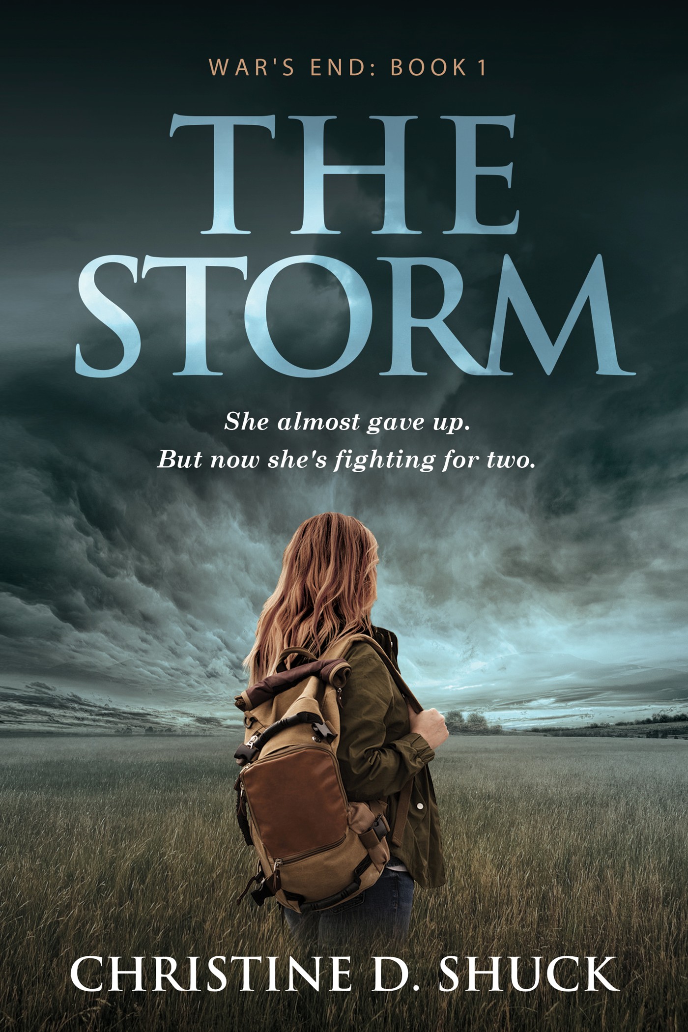 War's End: The Storm by Christine D. Shuck | Goodreads