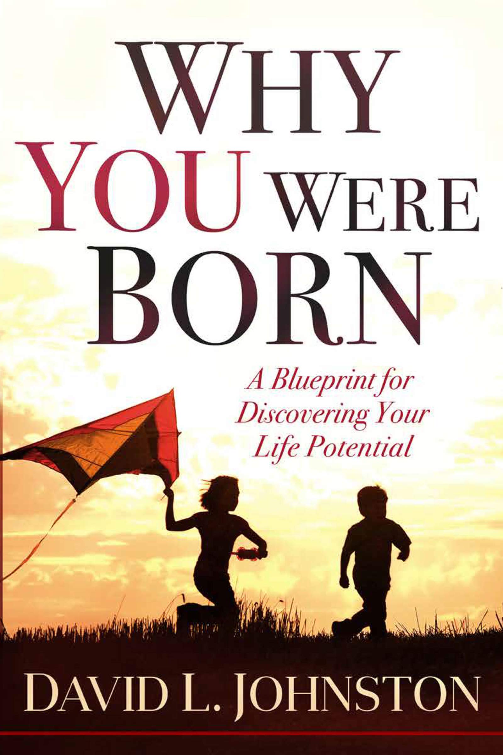 Why You Were Born by David L. Johnston | Goodreads
