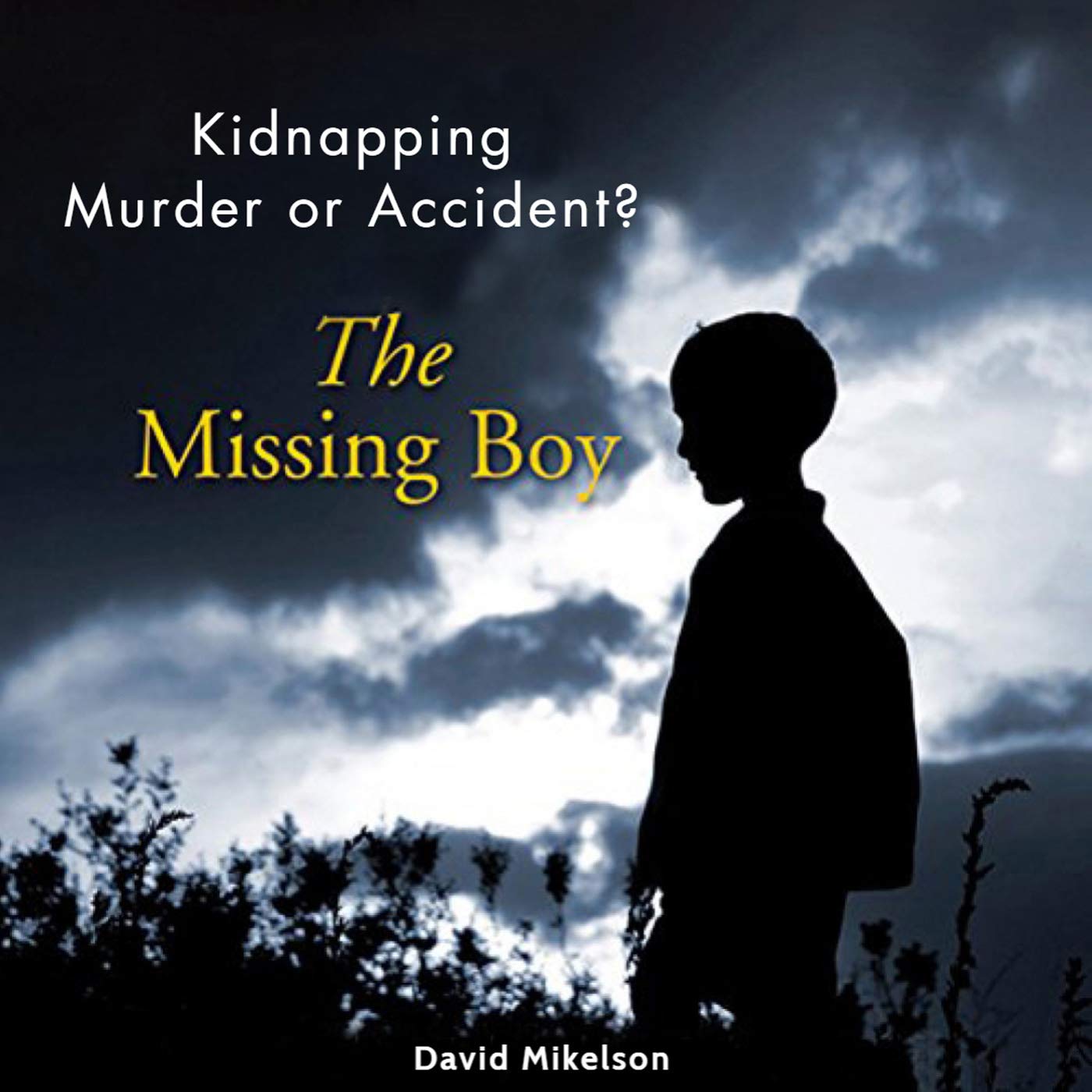 The Missing Boy: Kidnapping, Murder or Accident? by David Mikelson ...