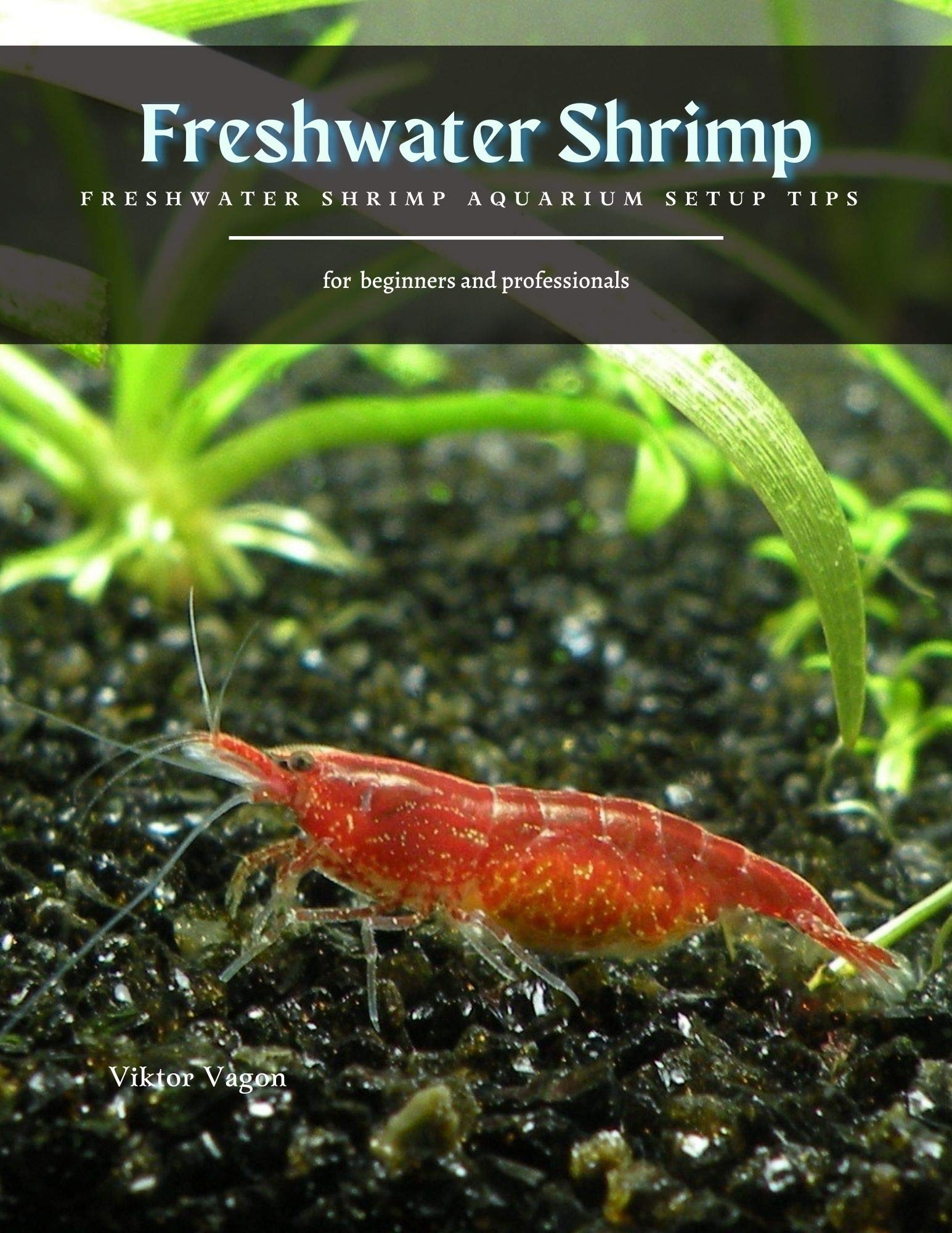 Freshwater Shrimp: Freshwater Shrimp Aquarium Setup Tips by Viktor ...