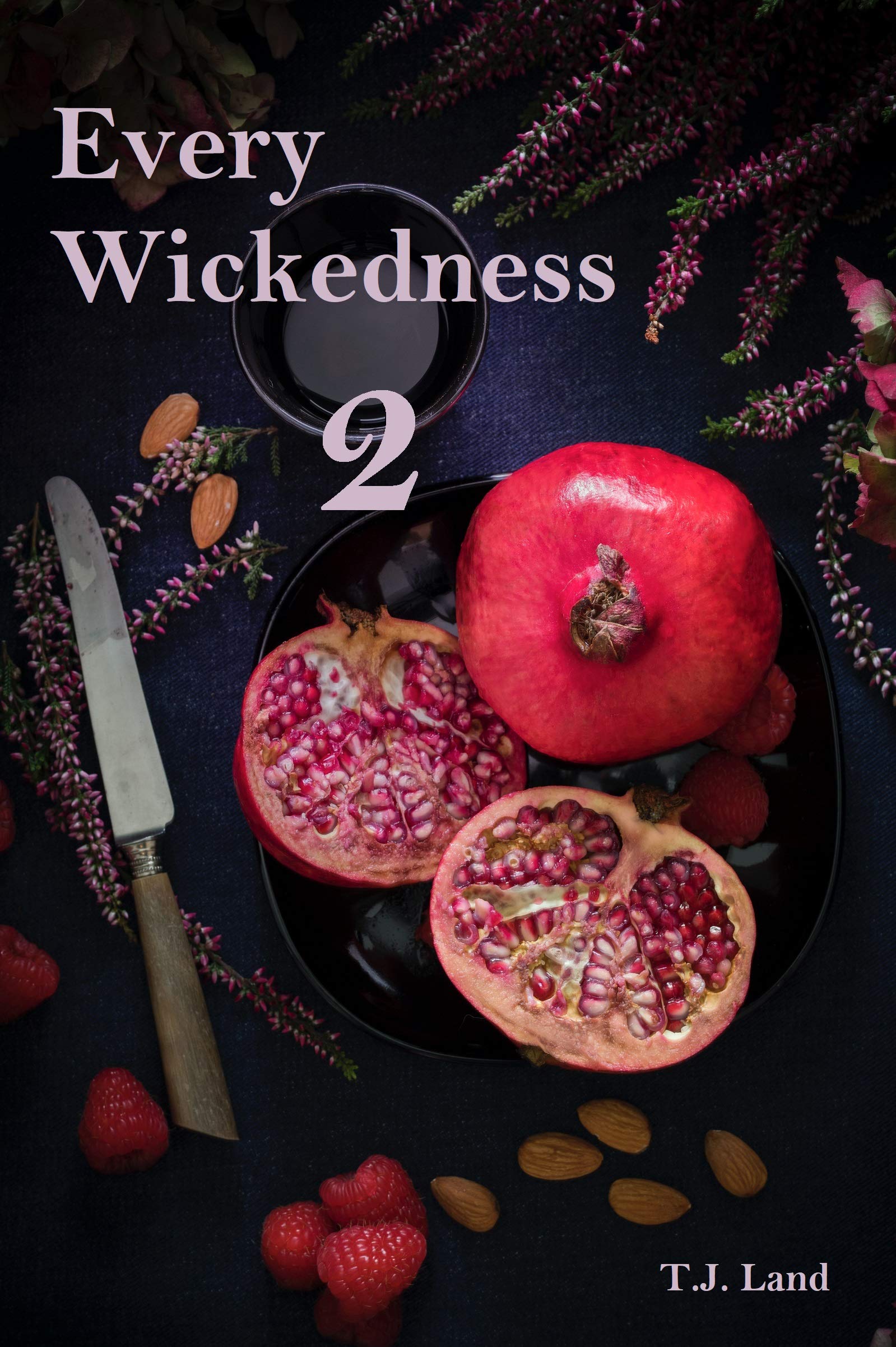 Every Wickedness 2 by T.J. Land | Goodreads