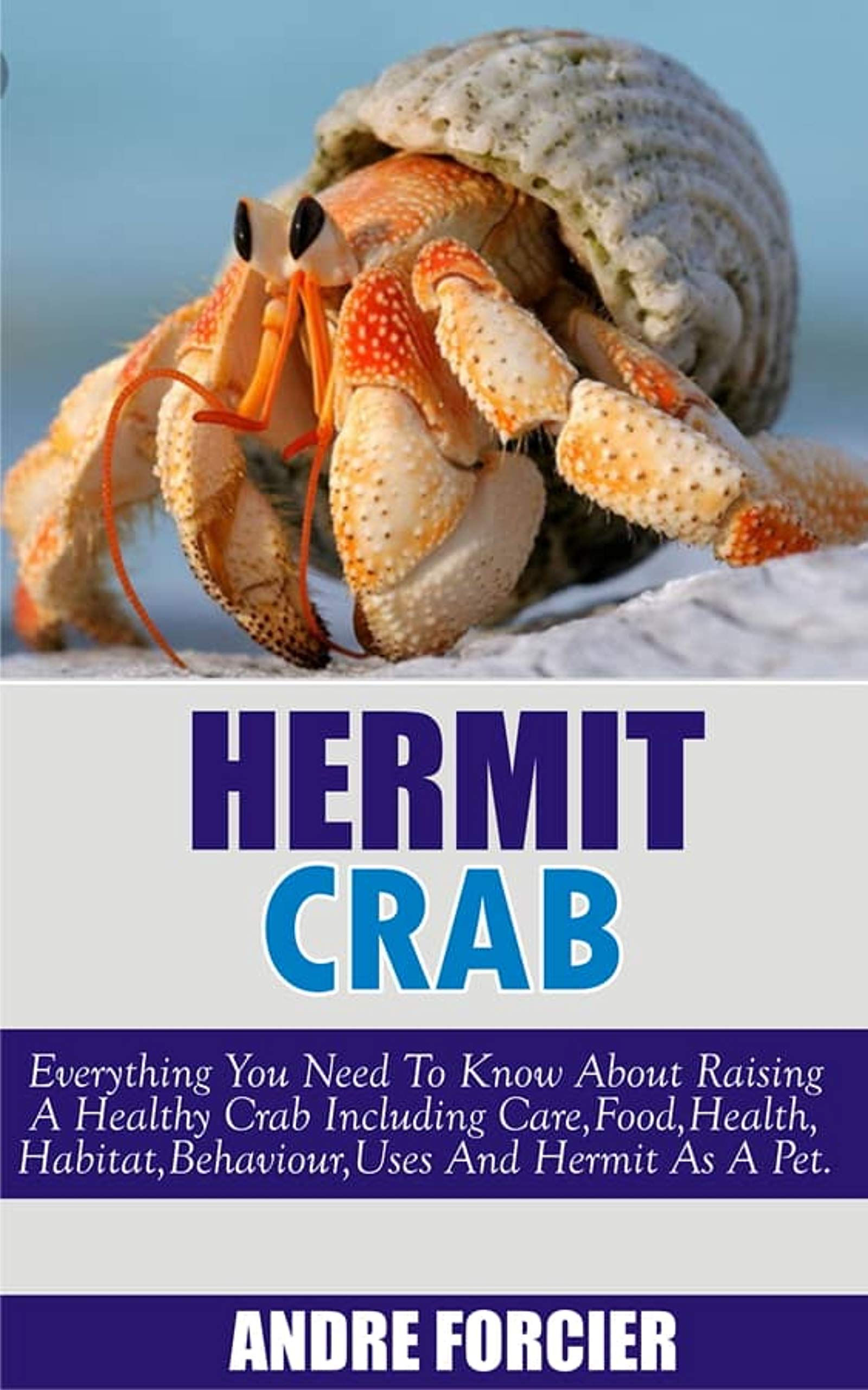 HERMIT CRABS: Everything You Need To Know About Raising A Healthy Crab Including Care, Food ...