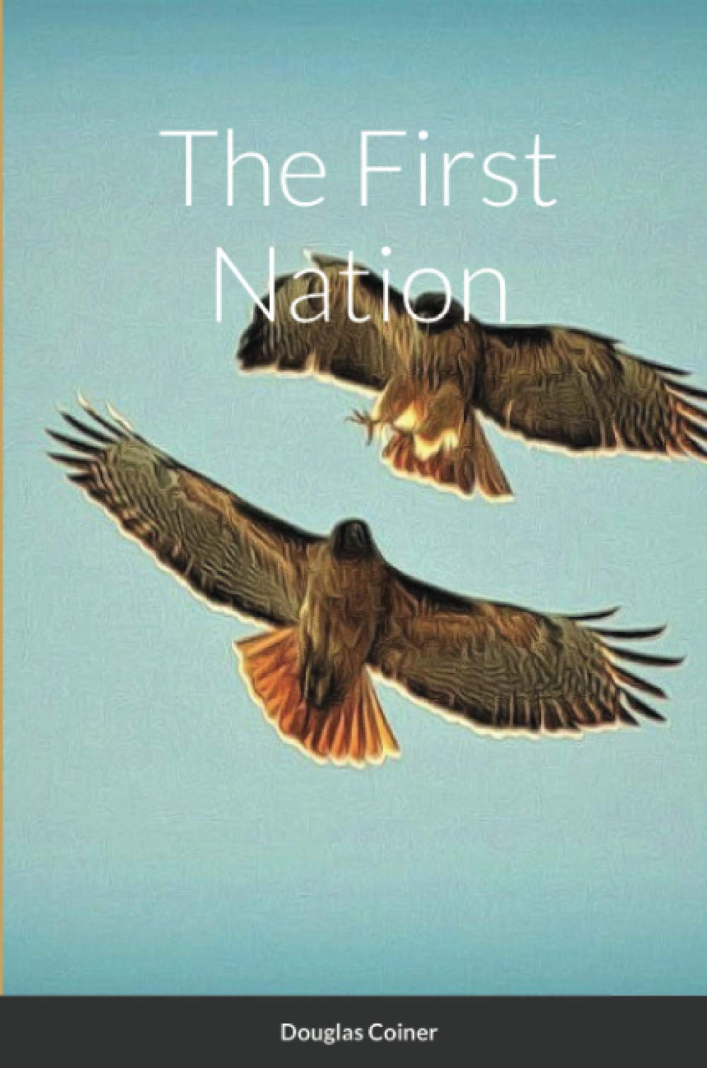 The First Nation by Douglas Coiner | Goodreads