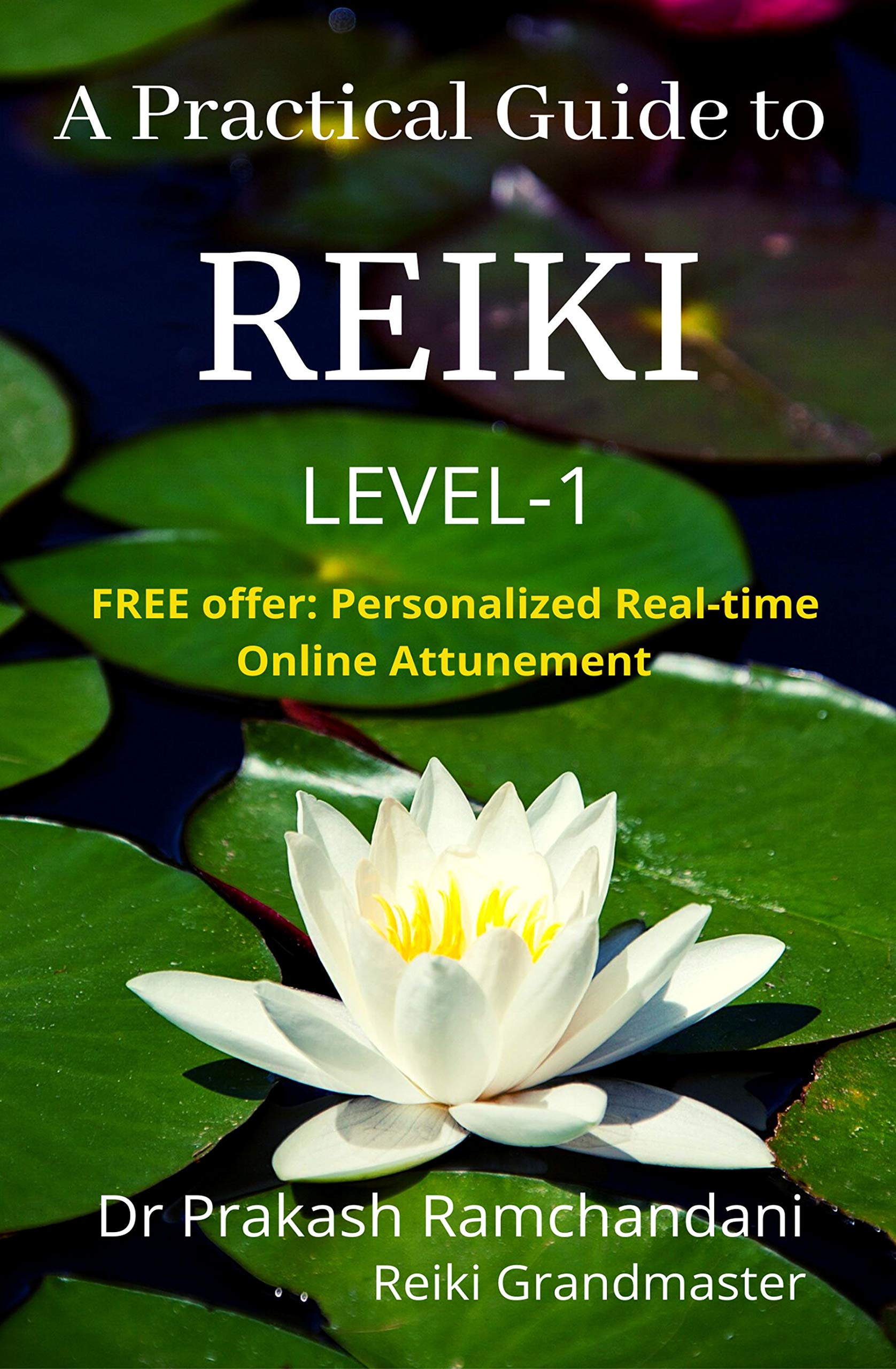 A Beginners Guide to REIKI : Reiki Self Healing by Prakash Ramchandani ...