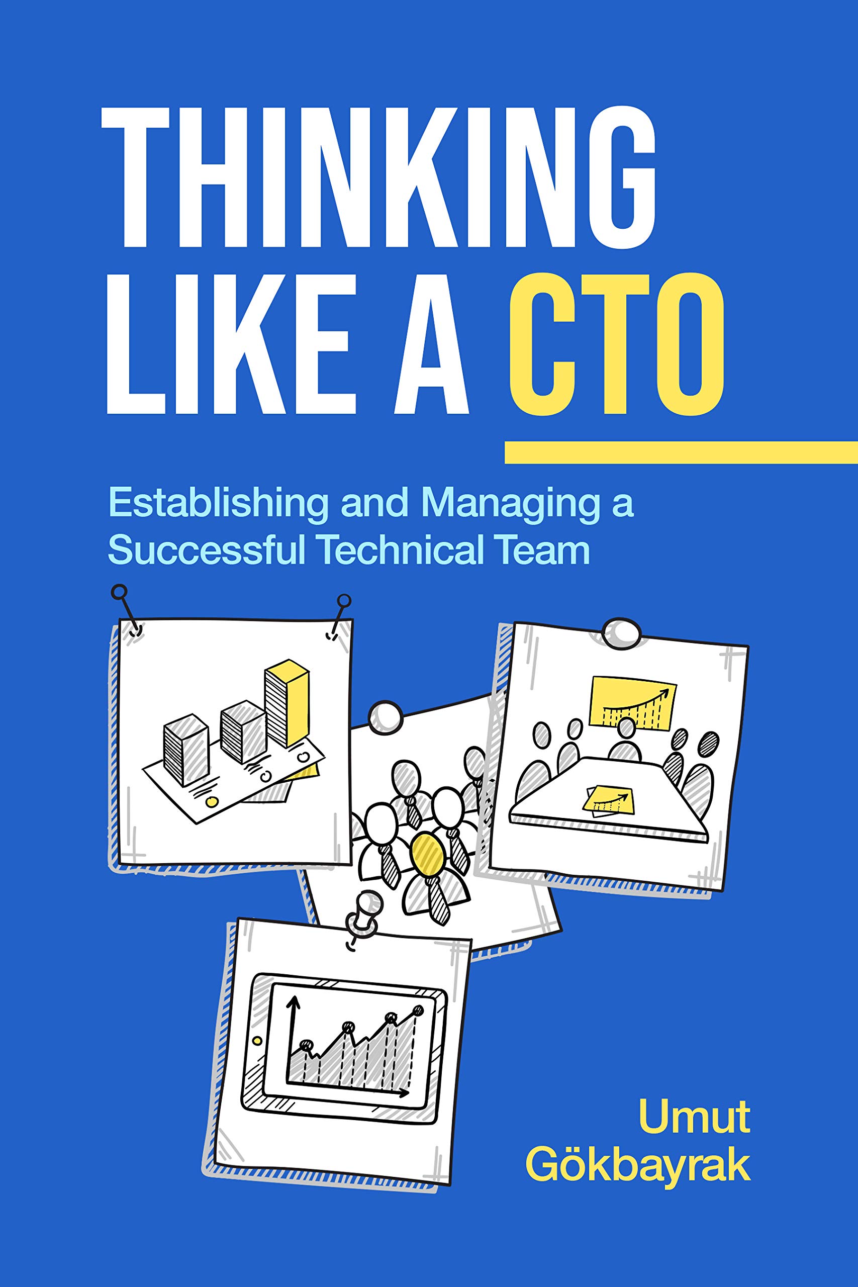 Thinking Like a CTO (2nd Edition): Establishing and Managing an ...