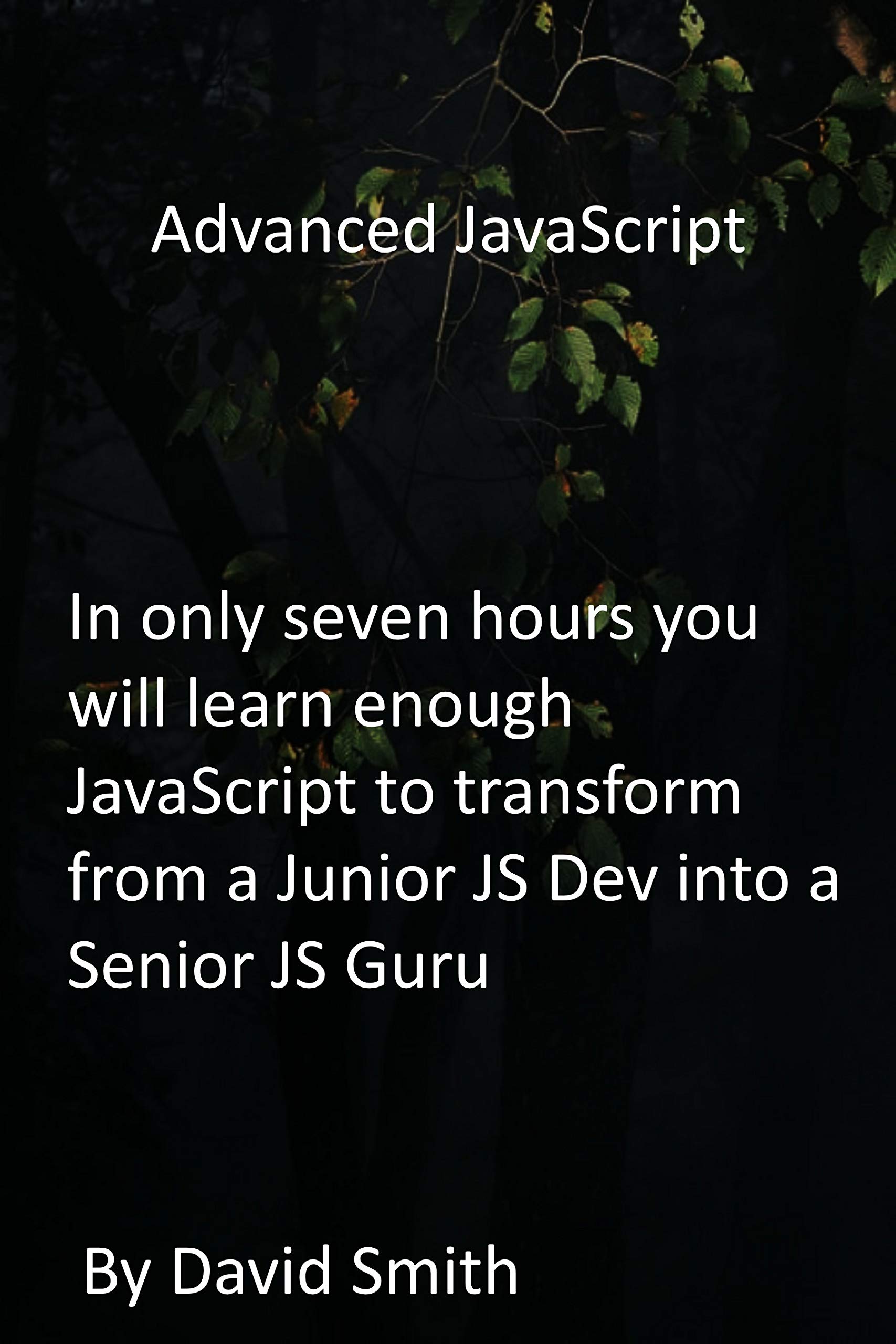 Advanced JavaScript: In only seven hours you will learn enough ...