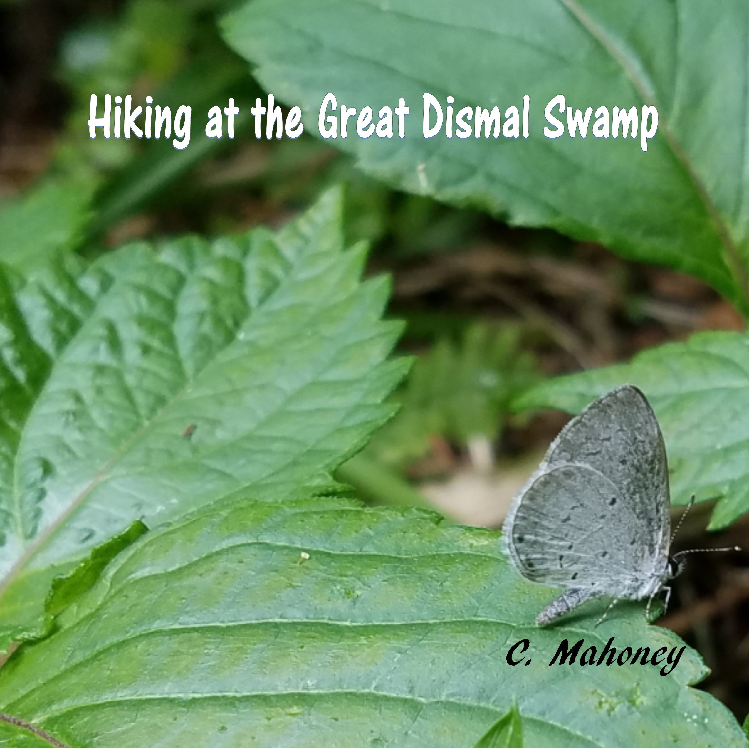 Hiking at the Great Dismal Swamp by C. Mahoney | Goodreads