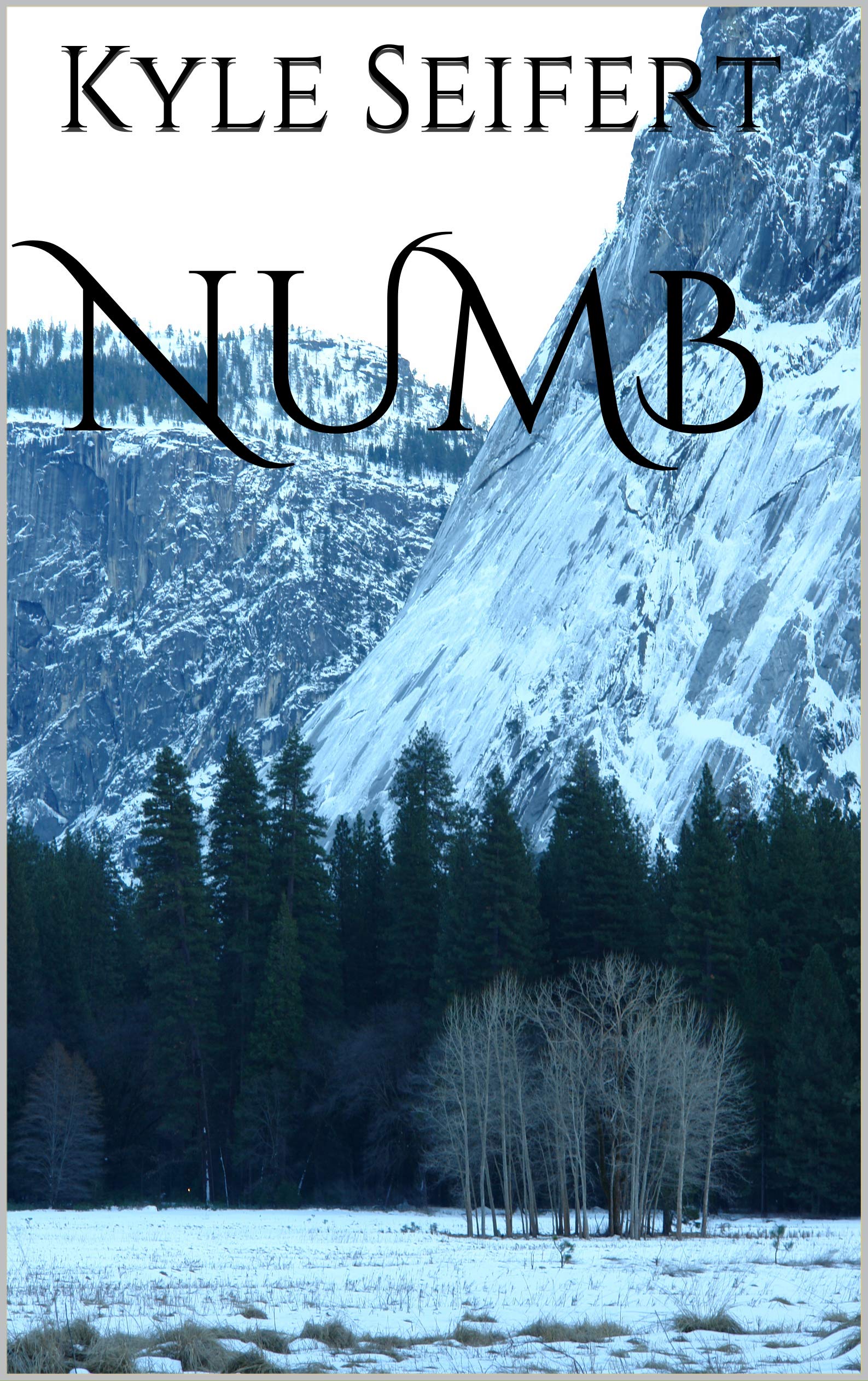 Numb by Kyle Seifert | Goodreads