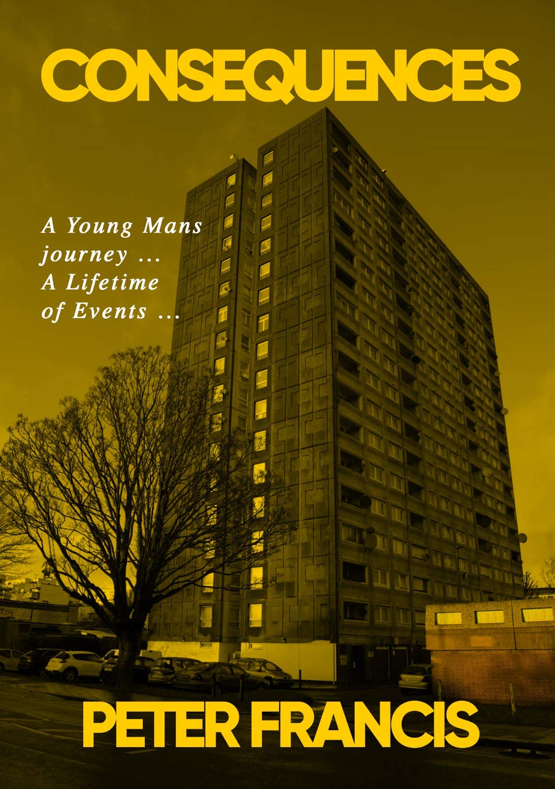 Consequences: A Young Man’s Journey in Life That Turns into a Lifetime ...