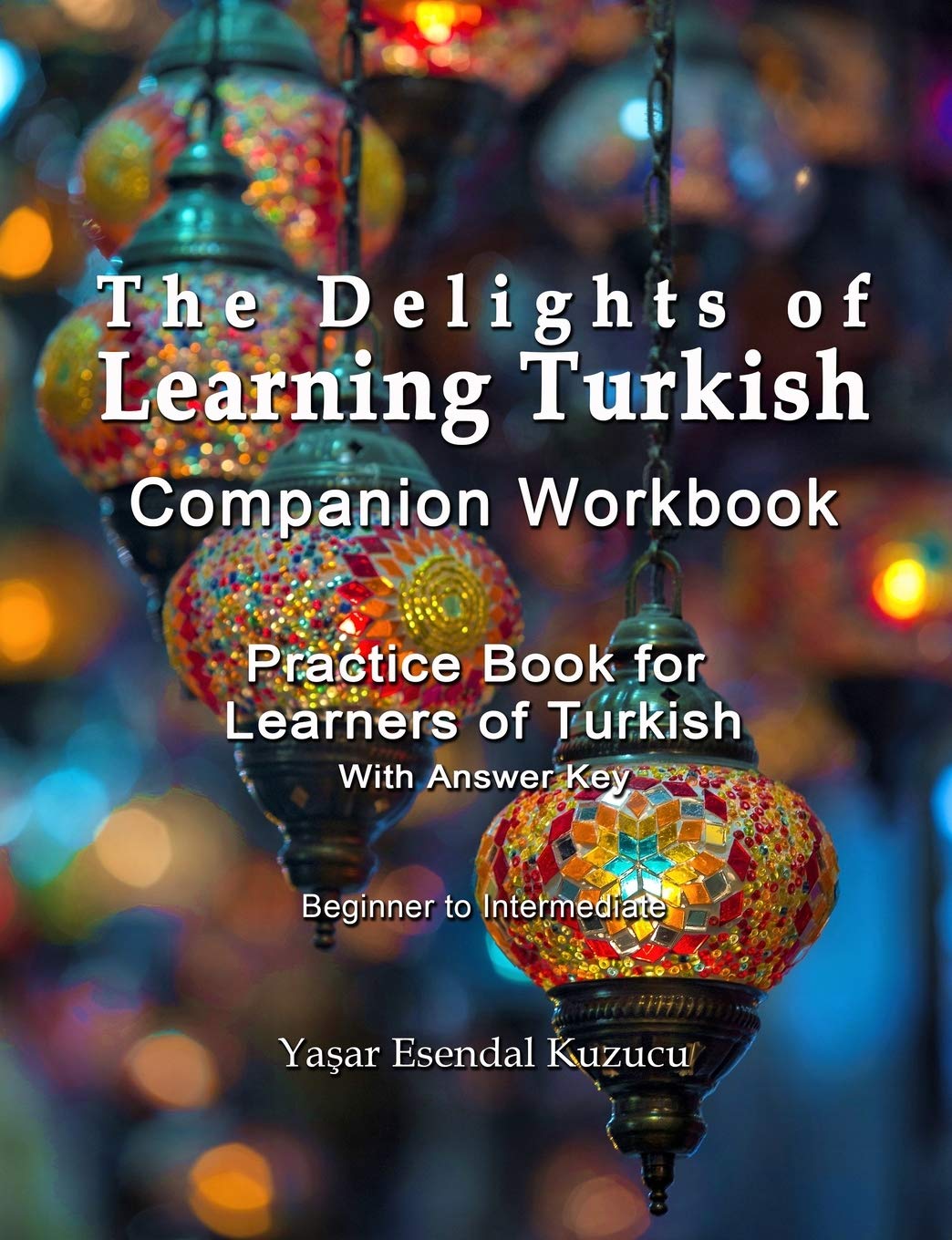 The Delights of Learning Turkish: Companion Workbook: Practice Book for ...