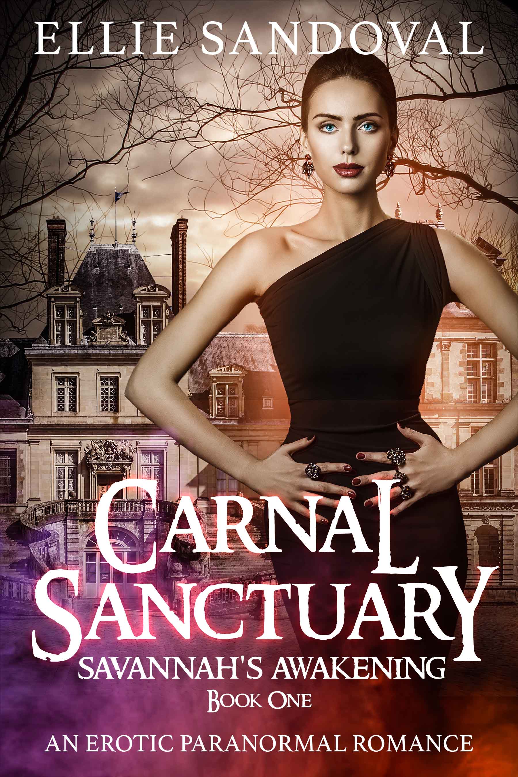 Carnal Sanctuary Book One: Savannah's Awakening - An Erotic Paranormal ...
