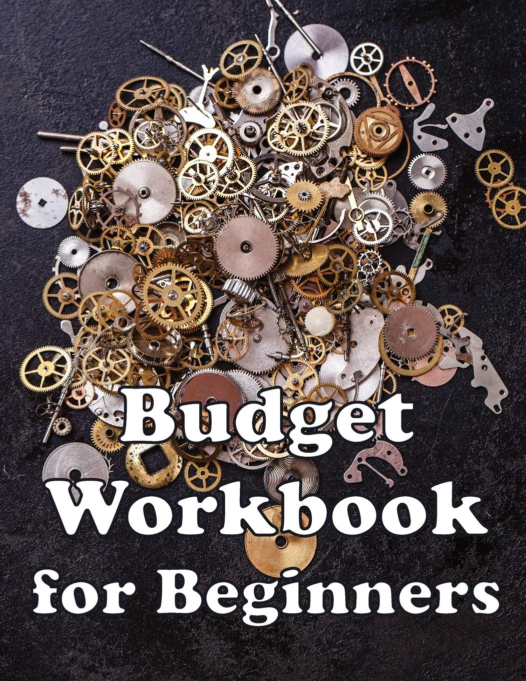 Budget Workbook for Beginners: Budget money with a planner containing a ...