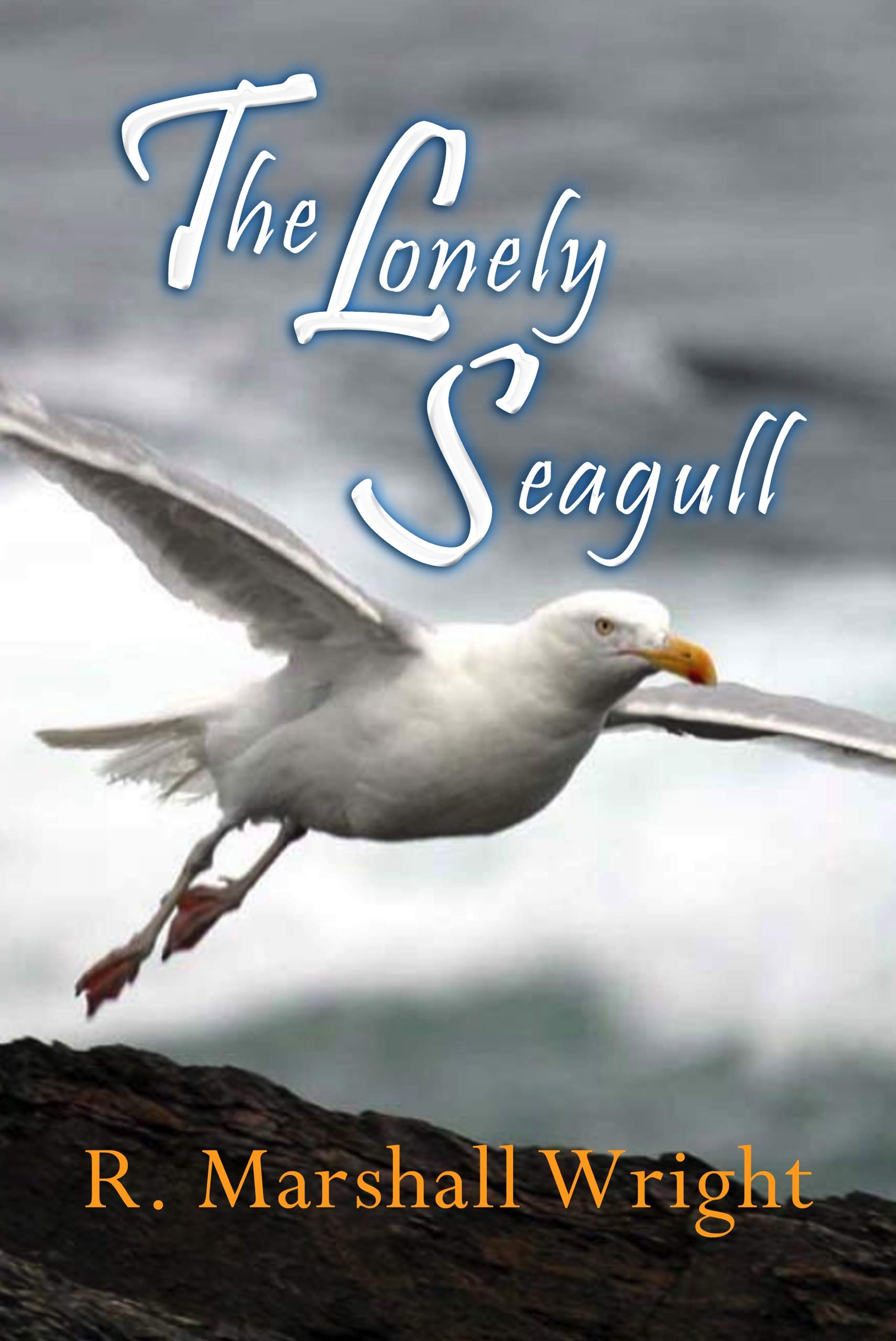 The Lonely Seagull by R. Marshall Wright | Goodreads