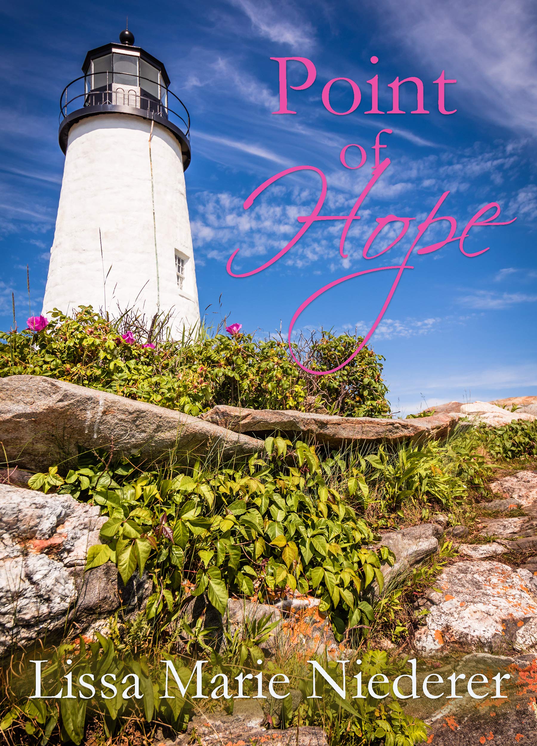 Point of Hope by Lissa Niederer | Goodreads