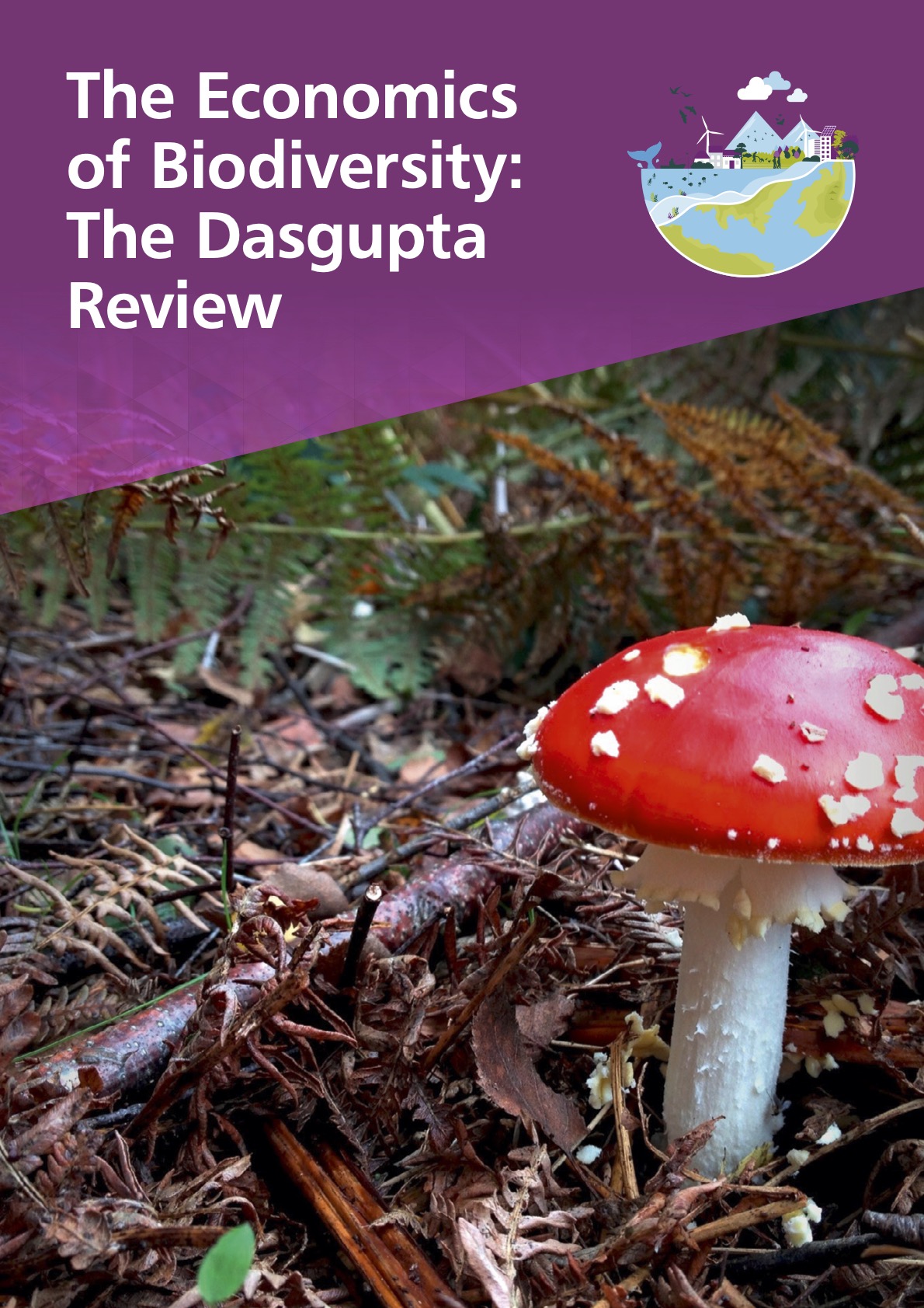 The Economics of Biodiversity: The Dasgupta Review by Partha Dasgupta ...