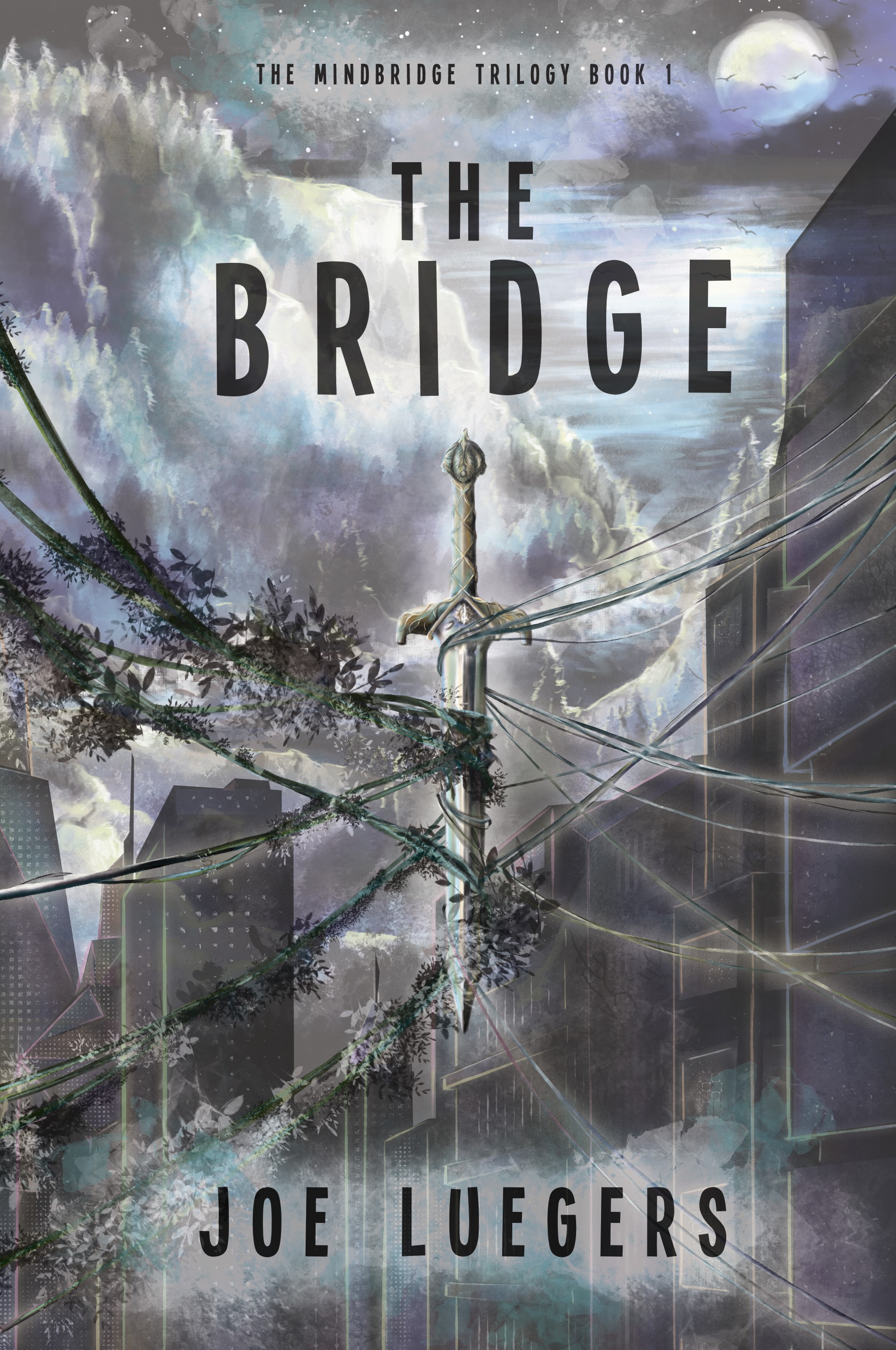 The Bridge (The Mindbridge Trilogy, #1) by Joe Luegers | Goodreads