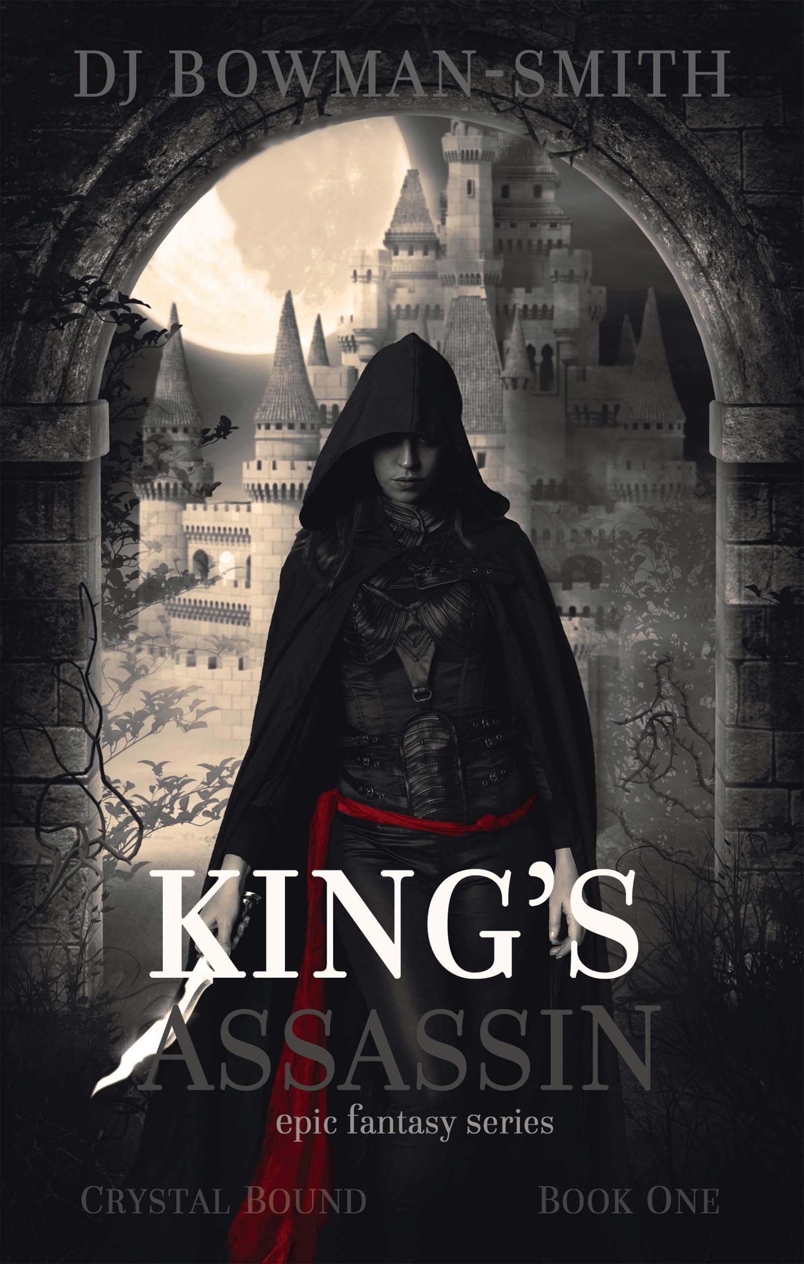 King's Assassin: Epic Fantasy by DJ Bowman-Smith | Goodreads