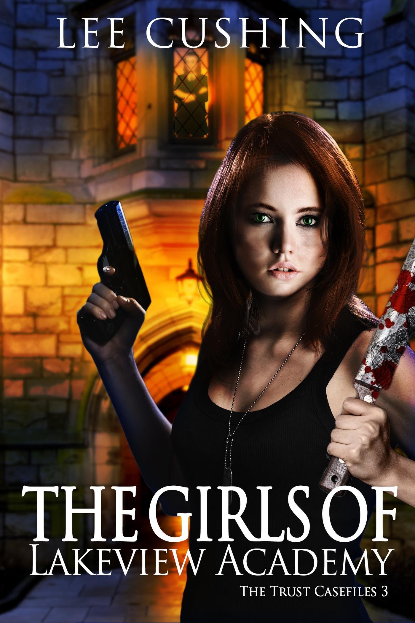 The Girls Of Lakeview Academy (Trust Casefiles Book 3) by Lee Cushing ...