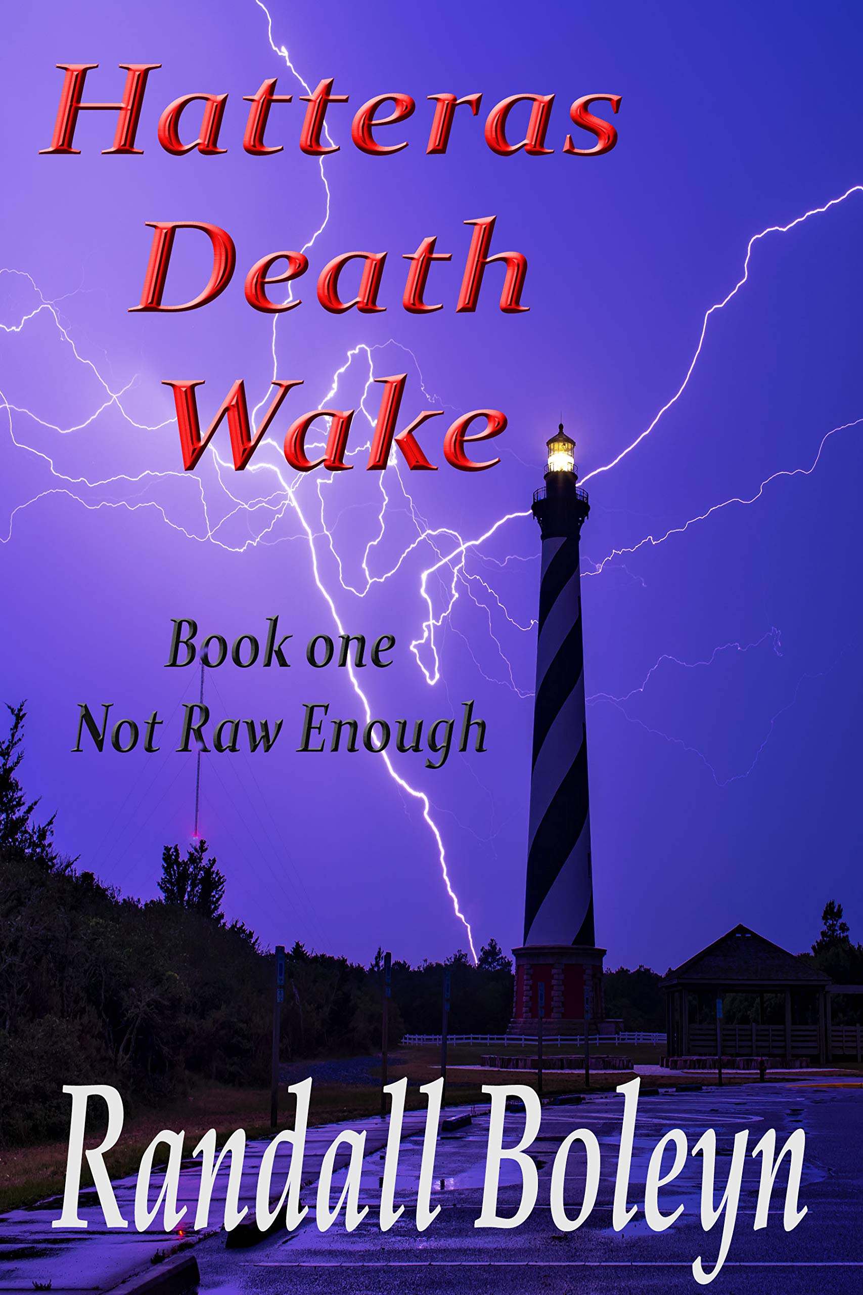 Fluke Moon: Not Raw Enough - Book One by Randall Boleyn | Goodreads