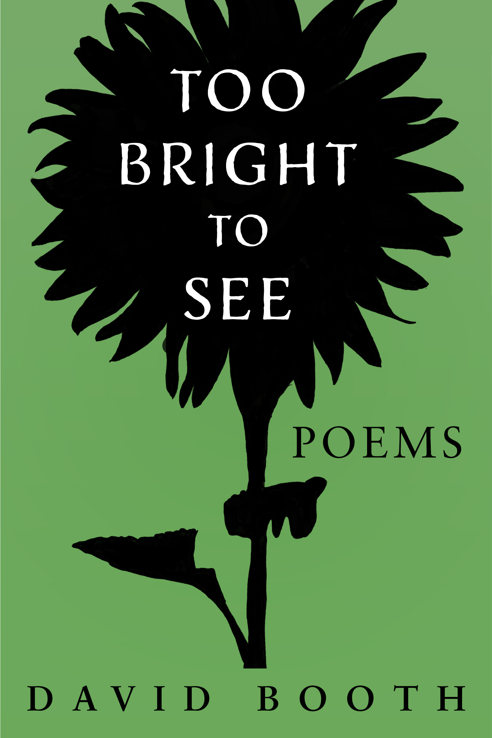 Too Bright to See by David Booth | Goodreads