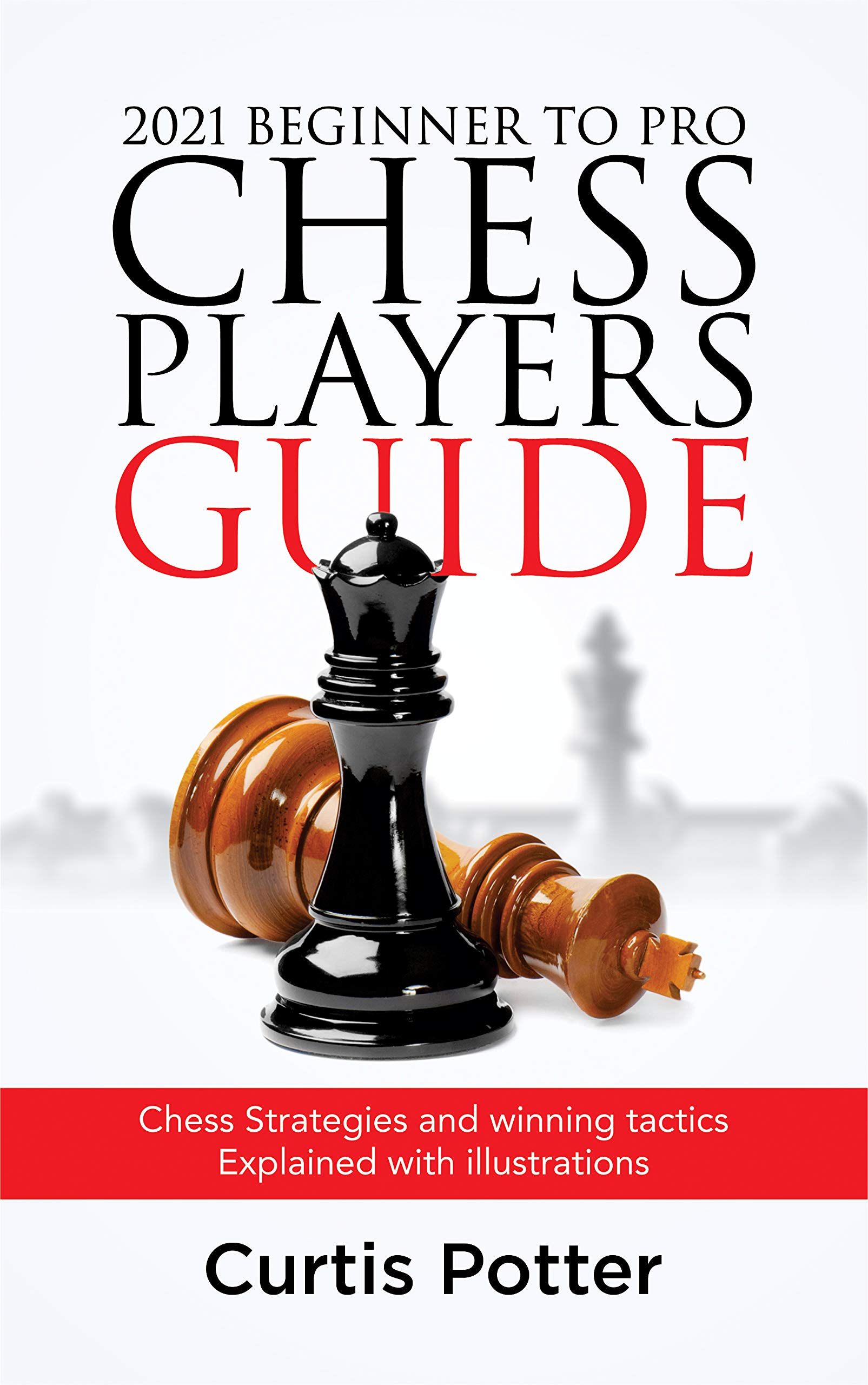 2021 Beginner to Pro Chess Players Guide : Chess Strategies and winning ...