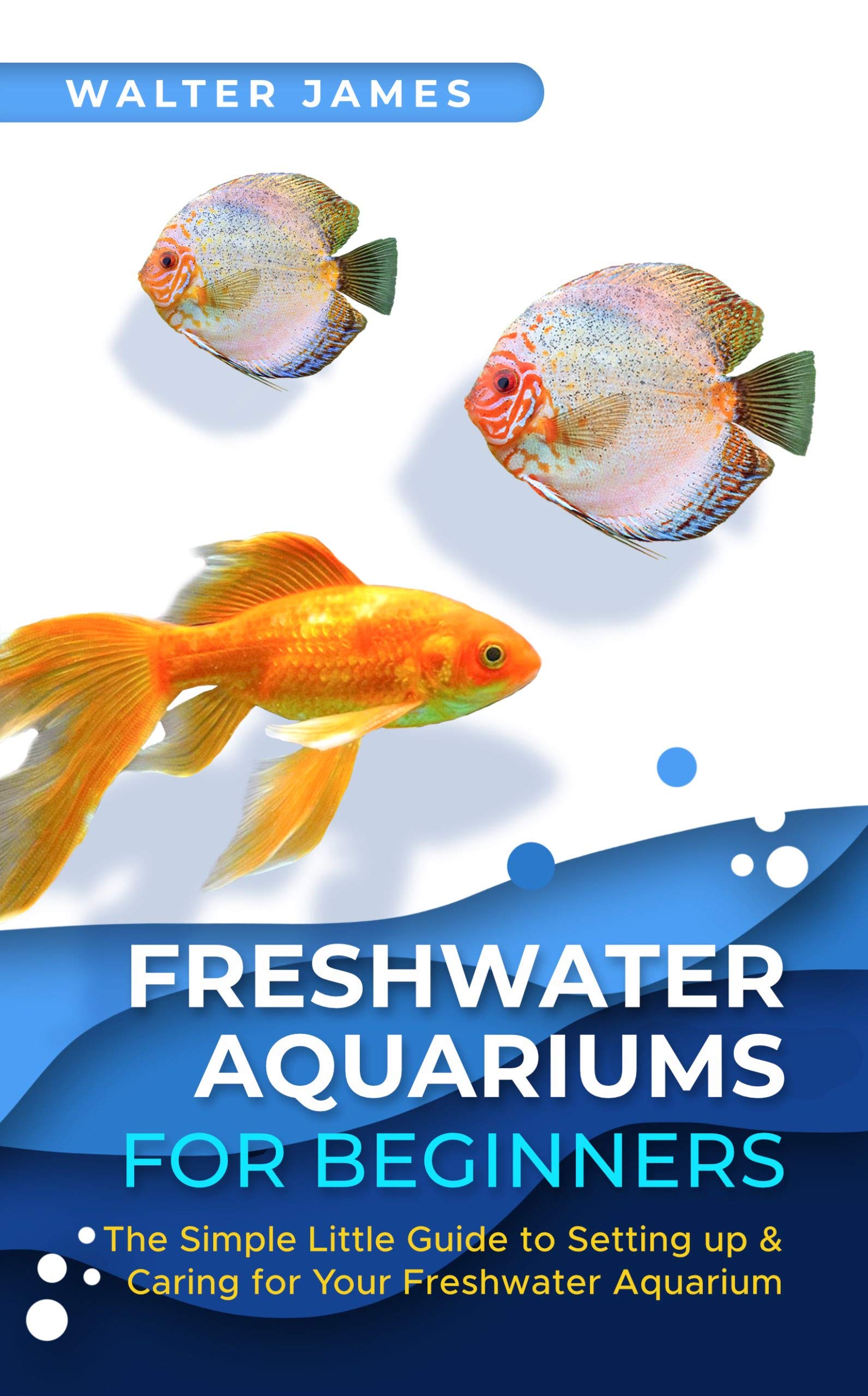Freshwater Aquariums for Beginners: The Simple Little Guide to Setting ...