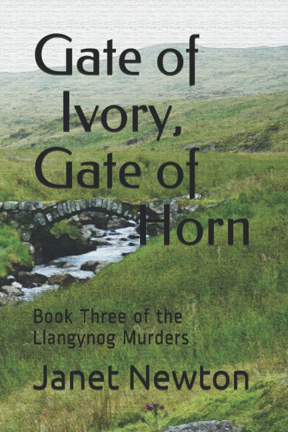 Gate of Ivory, Gate of Horn: Book Three of the Llangynog Murders by ...
