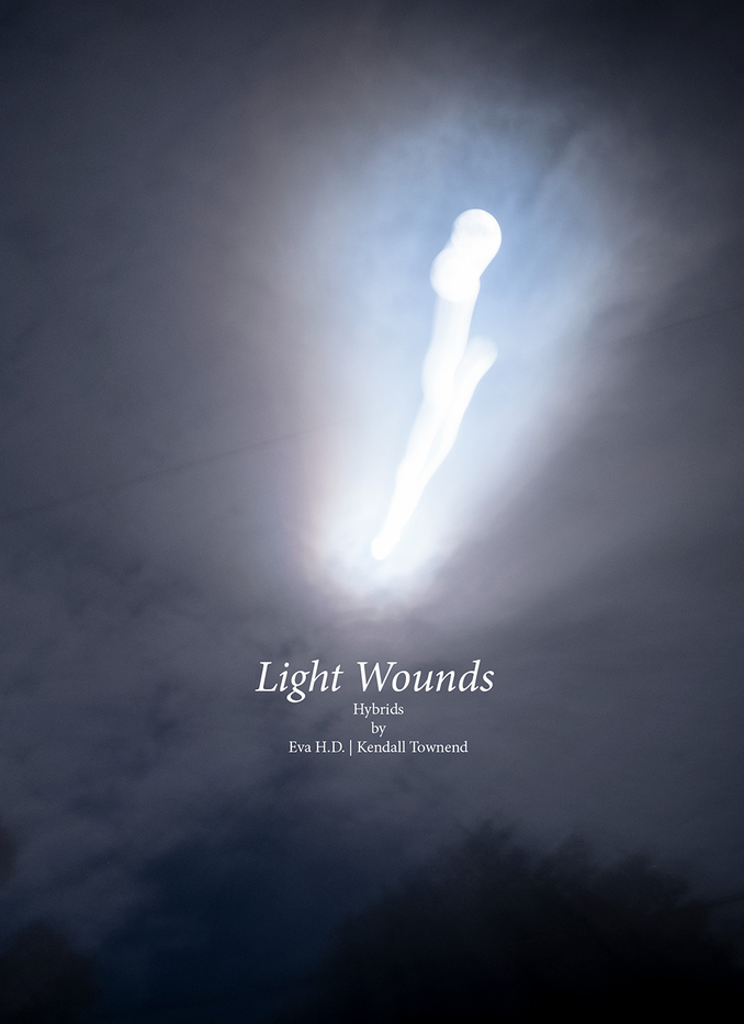 Light Wounds by Eva H.D. | Goodreads