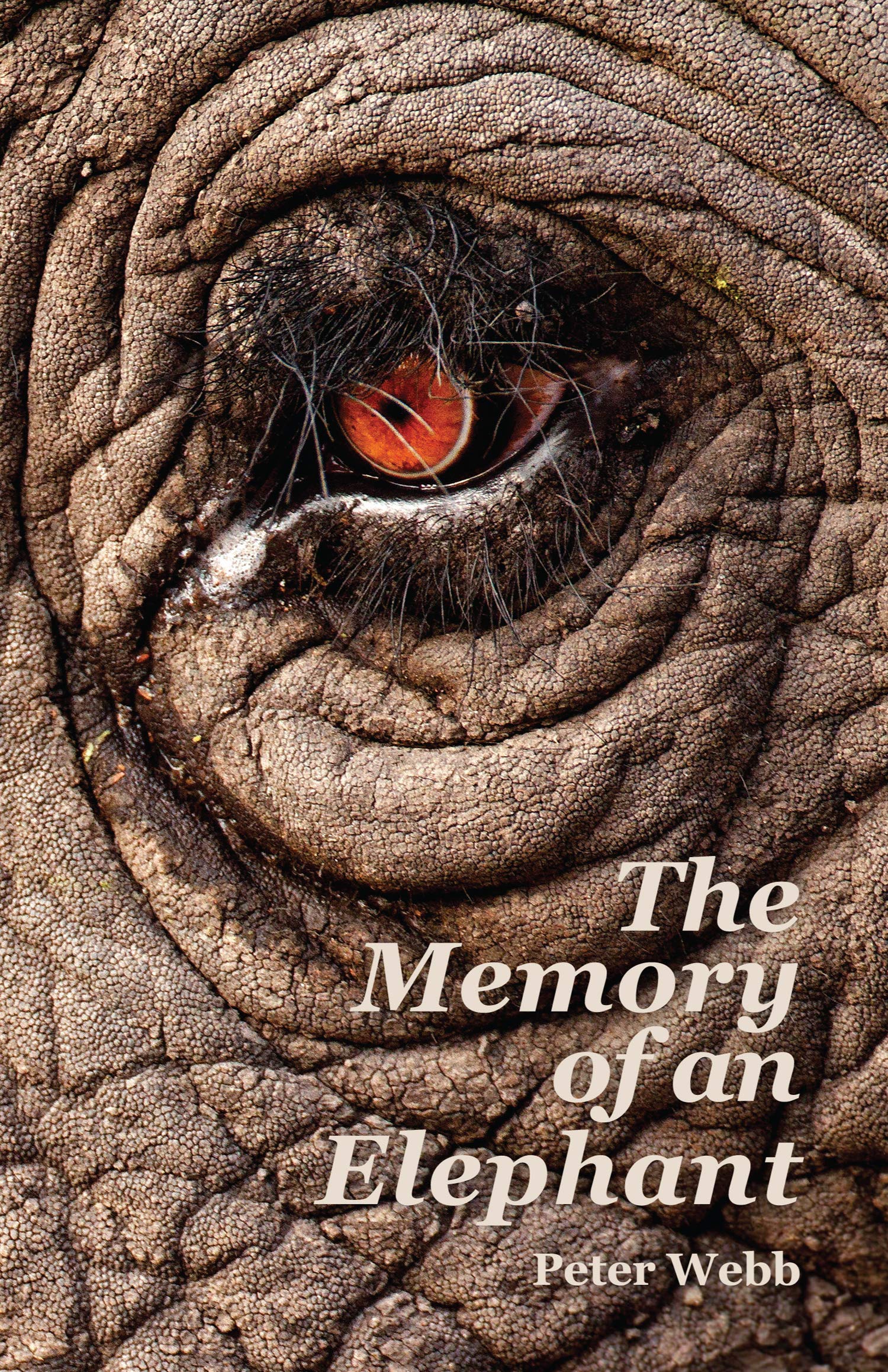 The Memory of an Elephant by Peter Webb | Goodreads