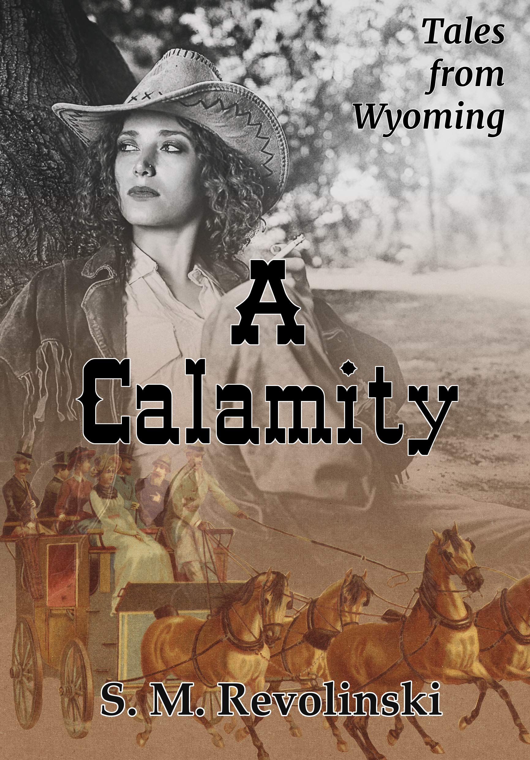 A Calamity: Troubles big and small by S.M. Revolinski | Goodreads